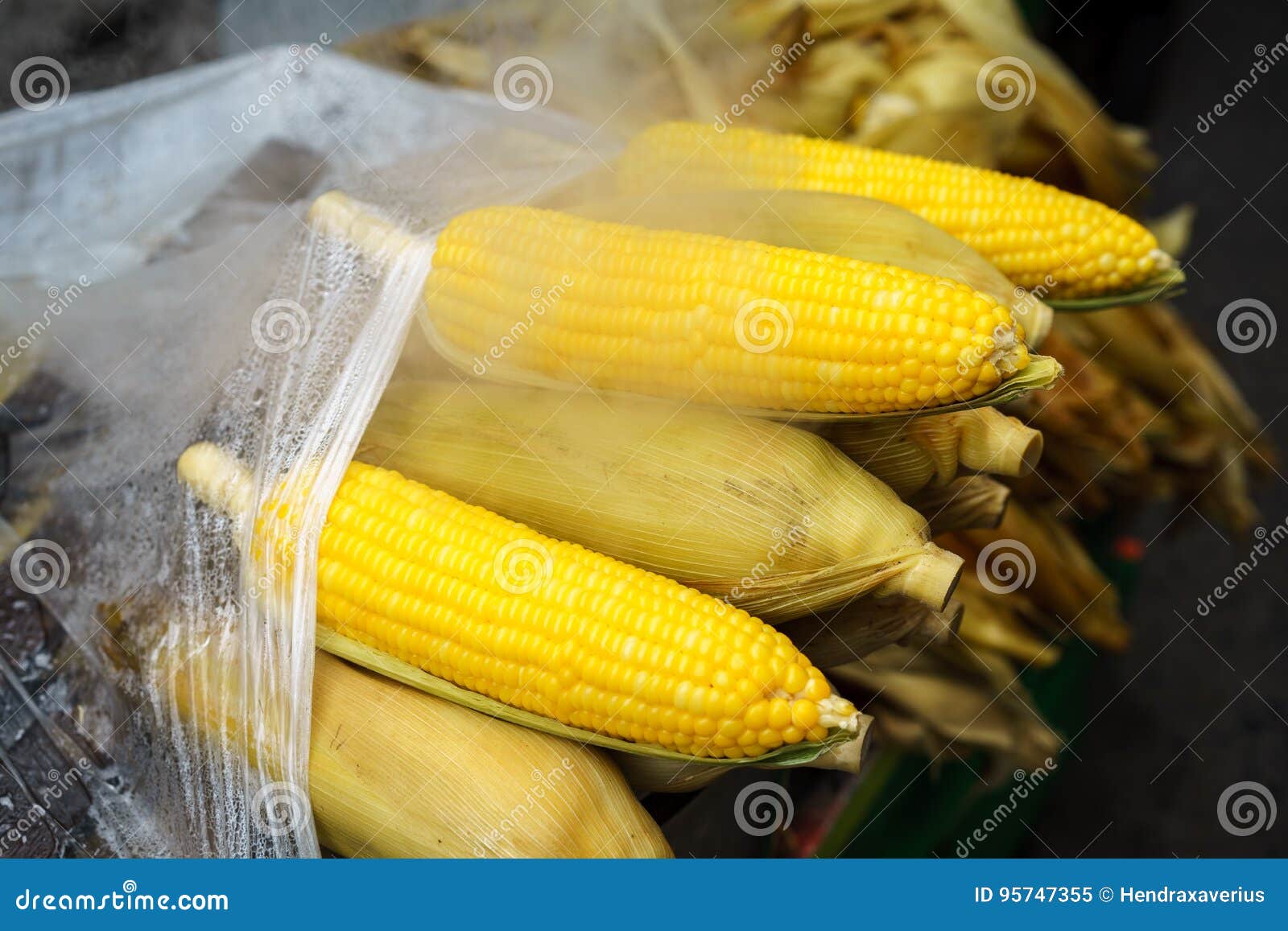 Steamed sweet corn stock image. Image of smoke, healthy - 95747355