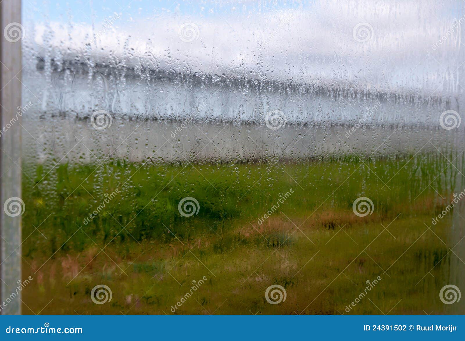 Steamed Windows of a Flower Nursery Stock Photo - Image of liquid ...