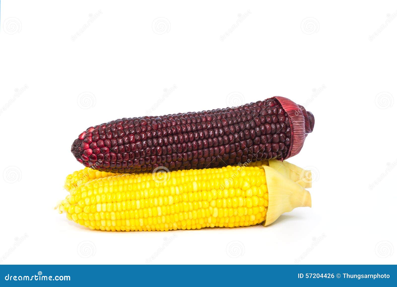 Steamed Yellow and Purple Corn on White Stock Photo - Image of natural ...