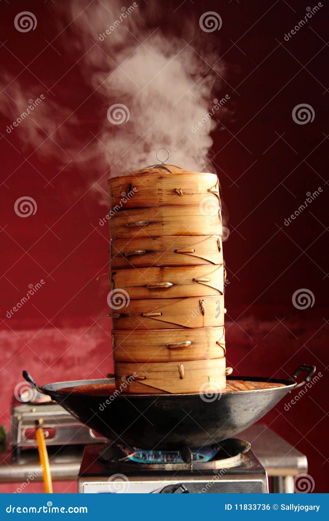 Steaming Cooker stock photo. Image of steaming, style - 11833736