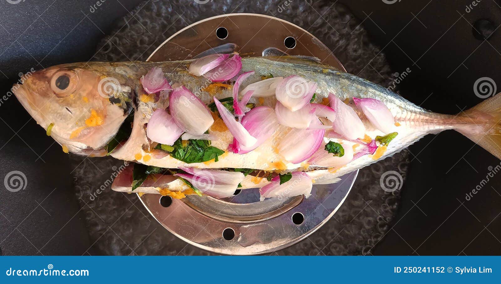 Steaming the Freshwater Mackerel Fish Scomber Scombrus with Slices of ...