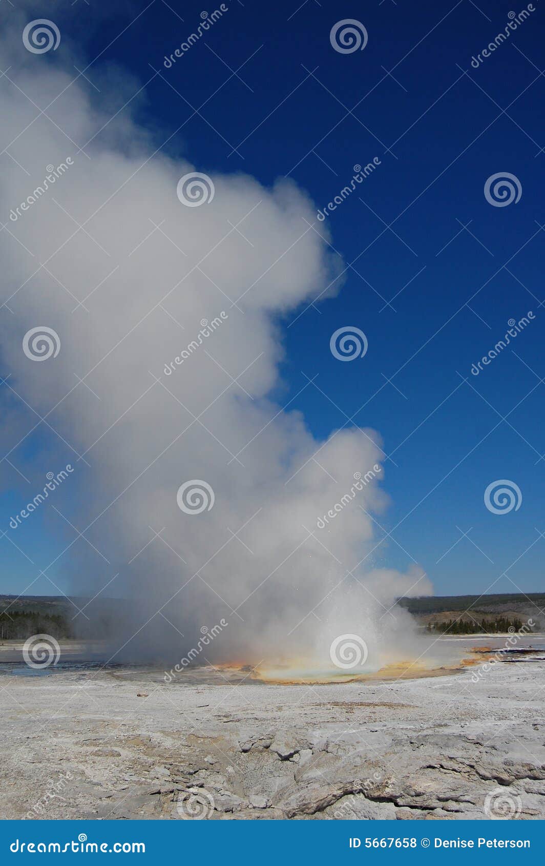 Steaming Geyser stock photo. Image of active, water, vacation - 5667658