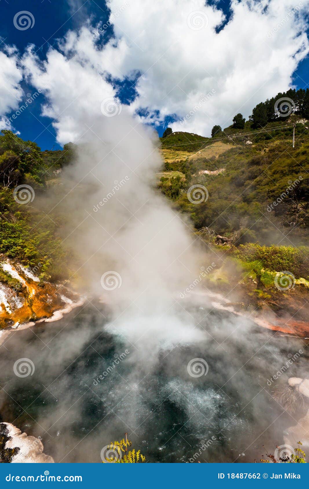 Steaming Hot Pool - New Zealand Stock Photo - Image of island ...