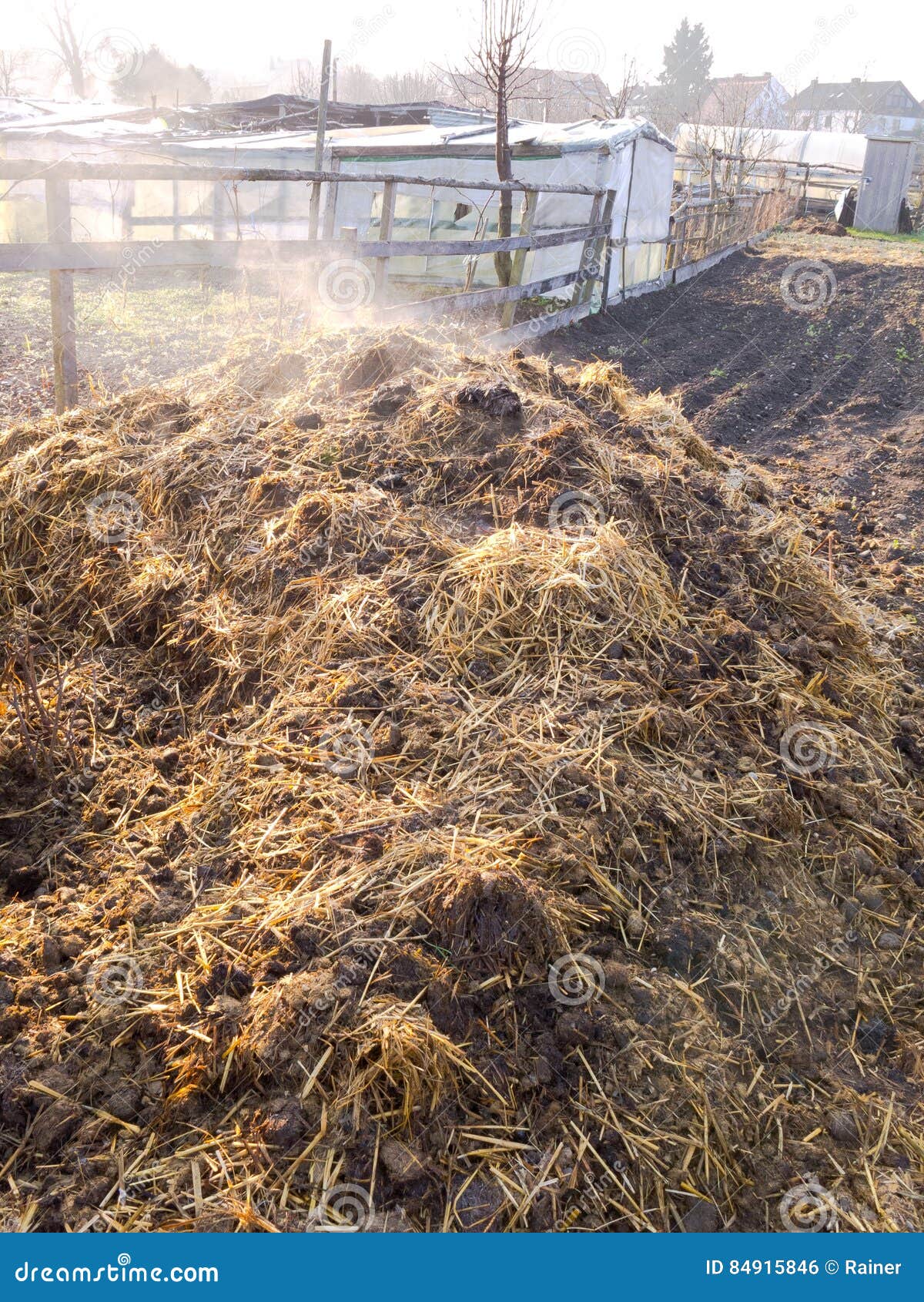 Steaming manure heap stock photo. Image of dunghill, earth - 84915846