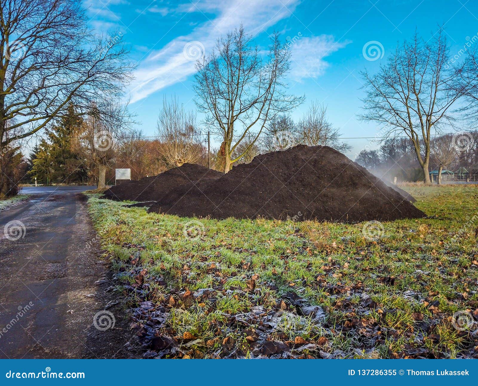 Steaming Pile of Manure on Farm Field in the Winter Stock Image - Image ...