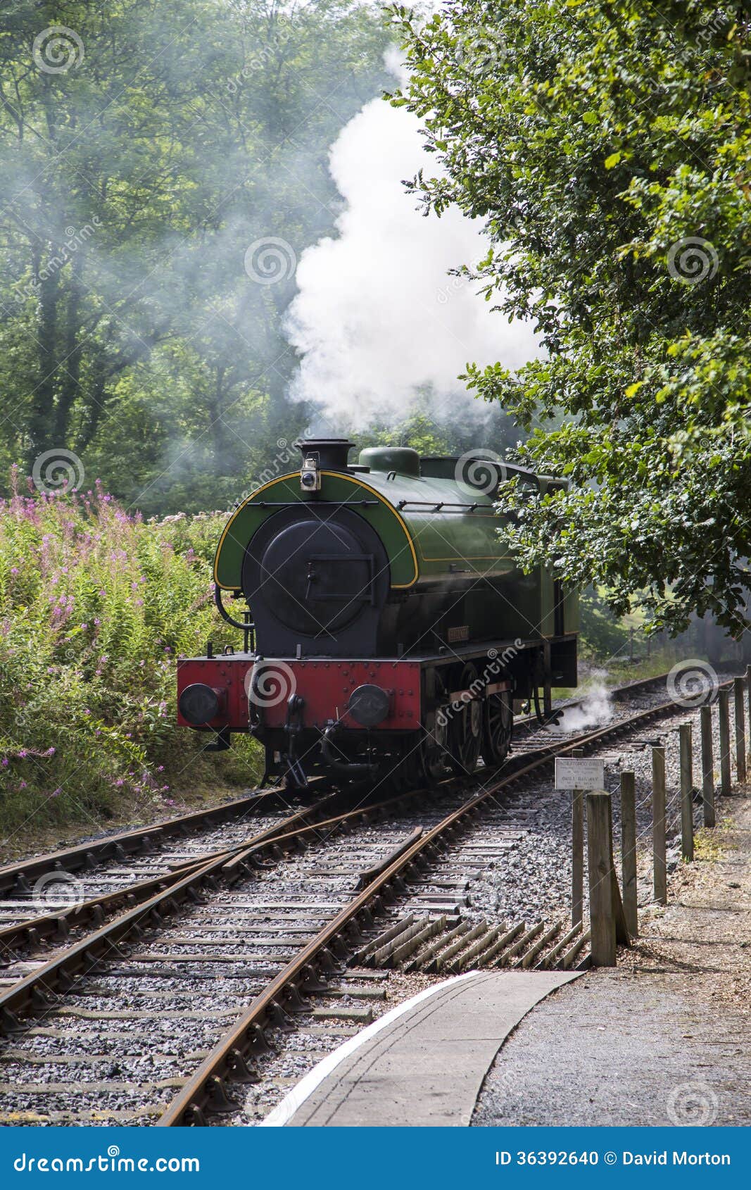 Steaming round the bend stock photo. Image of railway - 36392640