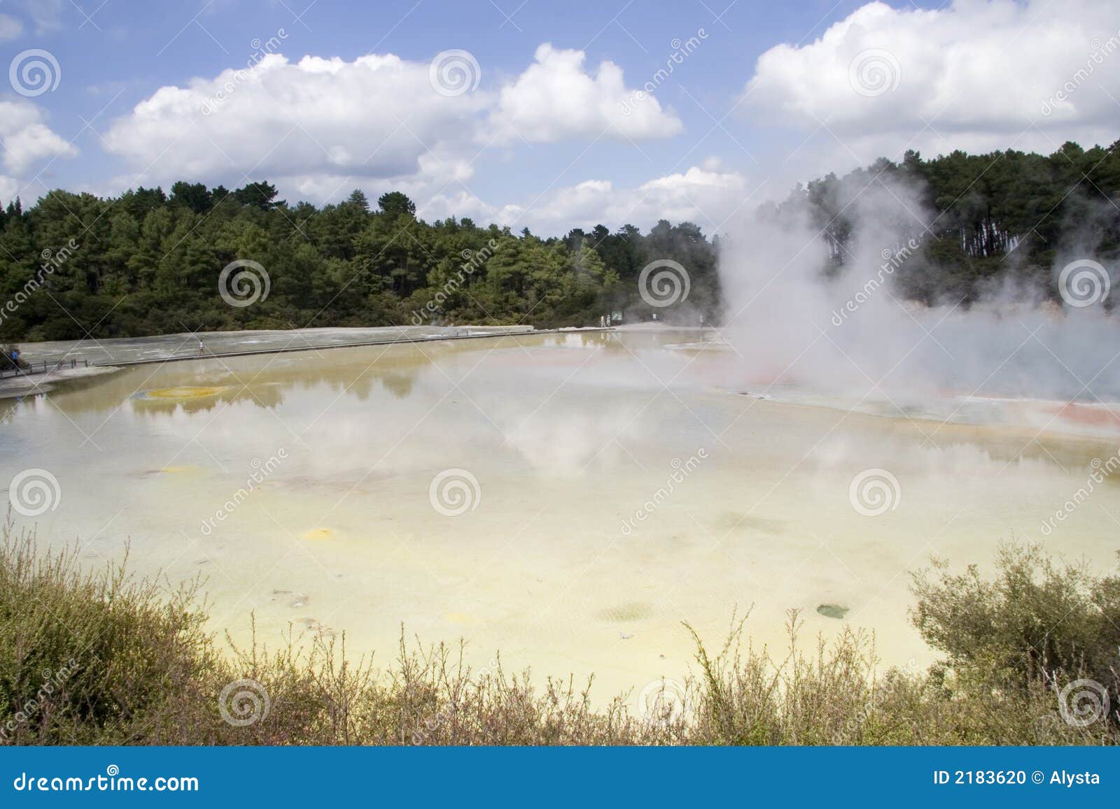 Steaming Thermal Pool in New Z Stock Photo - Image of pool, steam: 2183620
