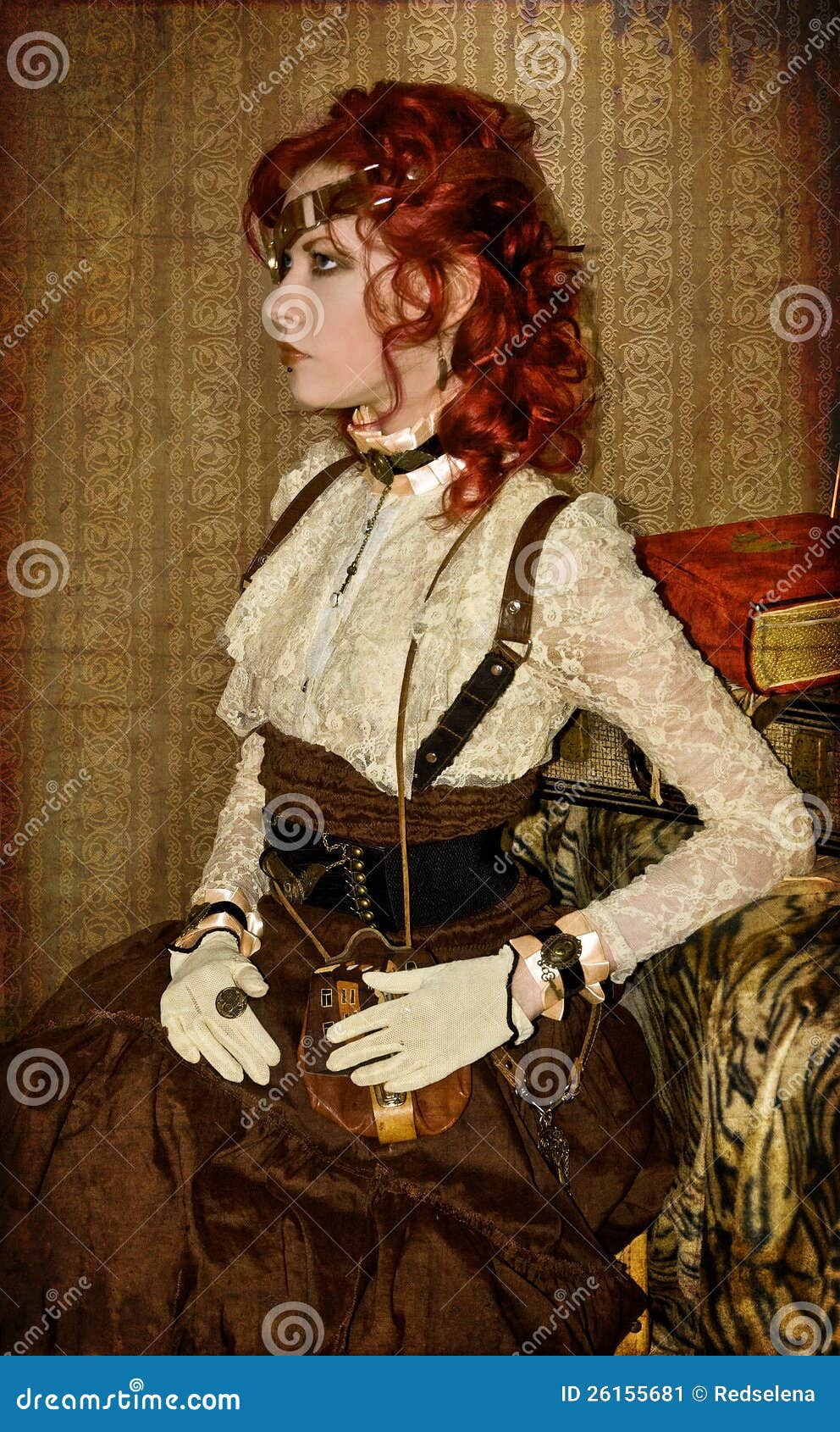 Steampunk Victorian Girl stock image. Image of hair, steampunk - 26155681