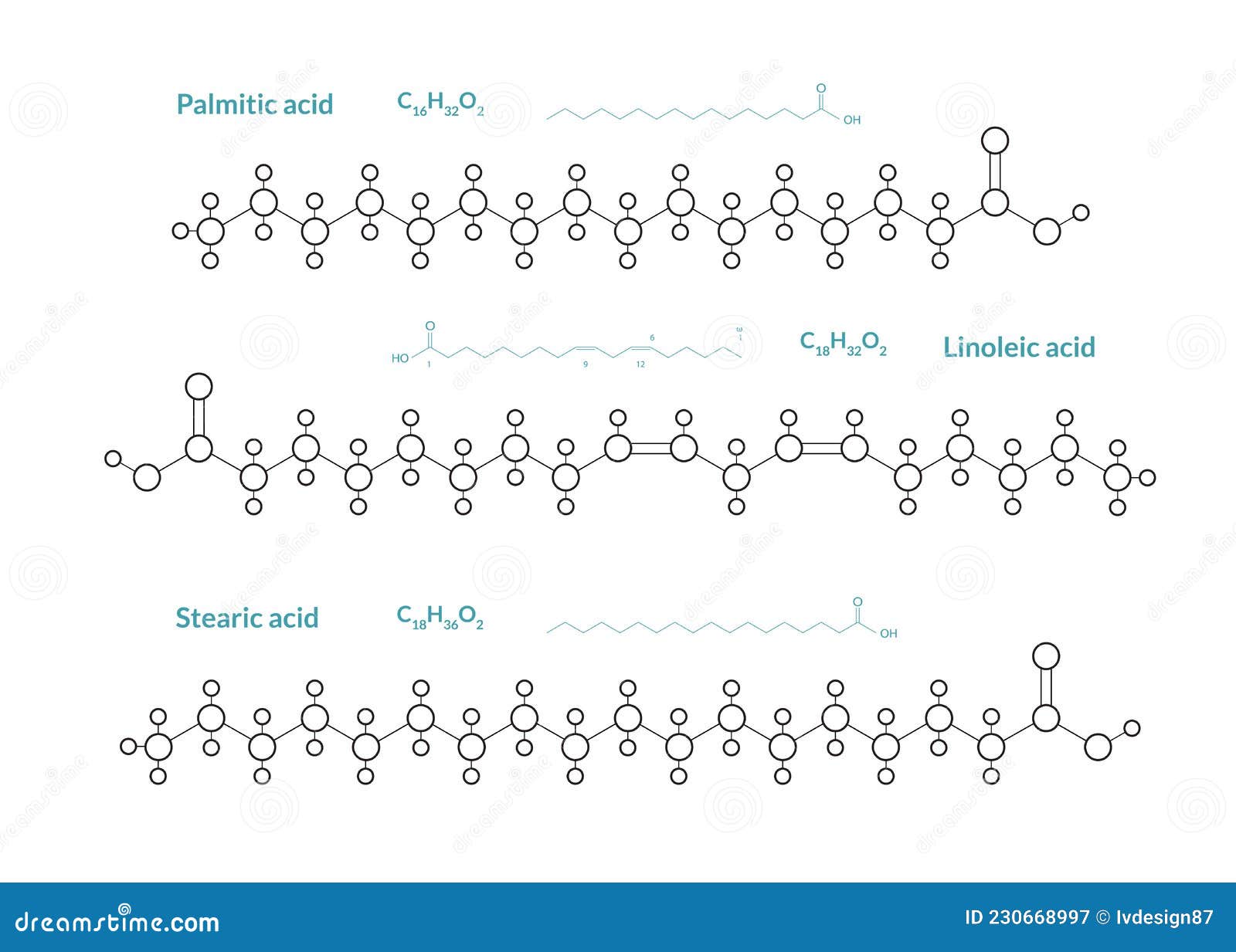 Stearic, Palmitic, Linoleic Acids. Fatty Acids. The Structural Formula ...