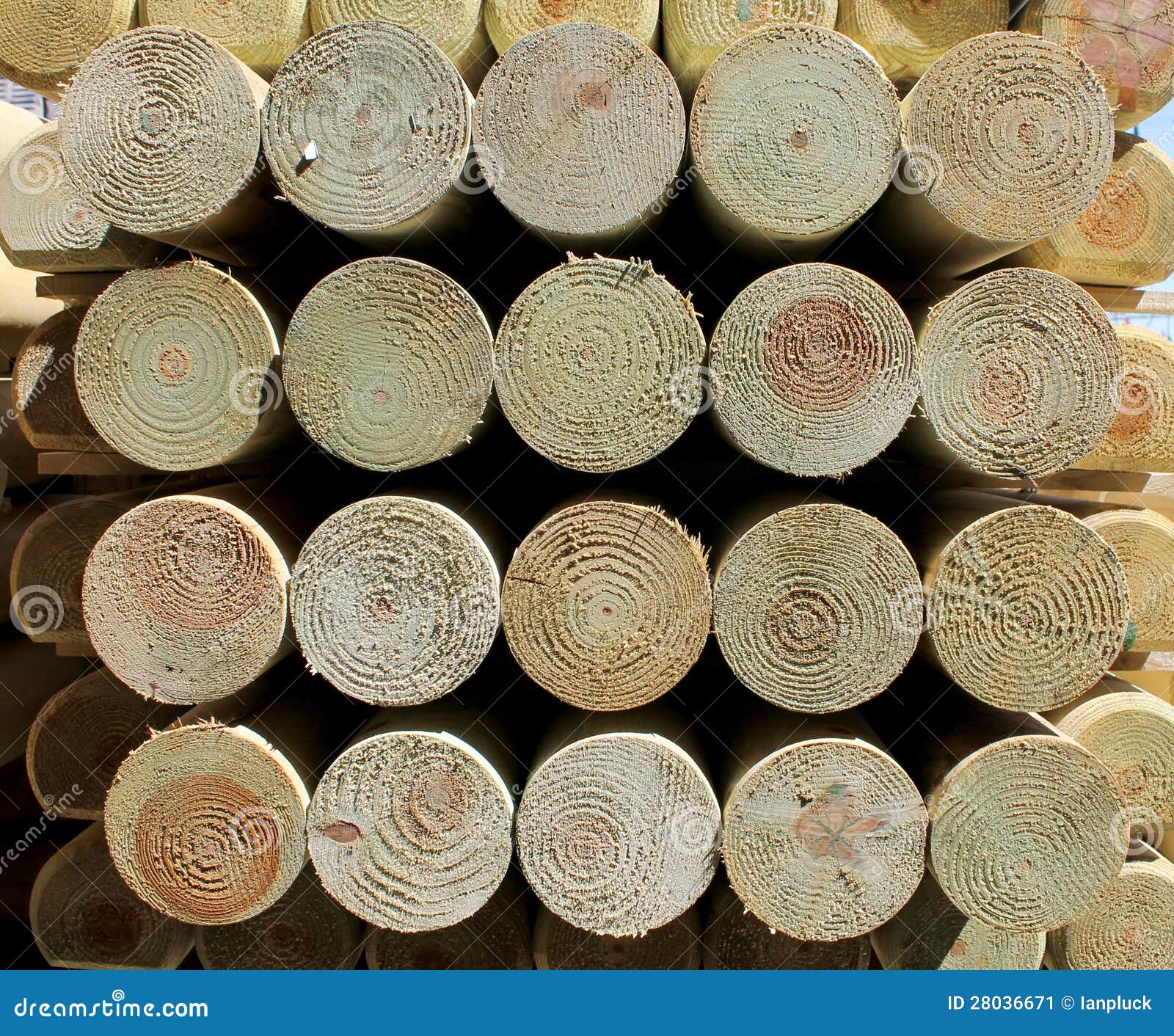 Stecked pine timber poles stock image. Image of softwood - 28036671