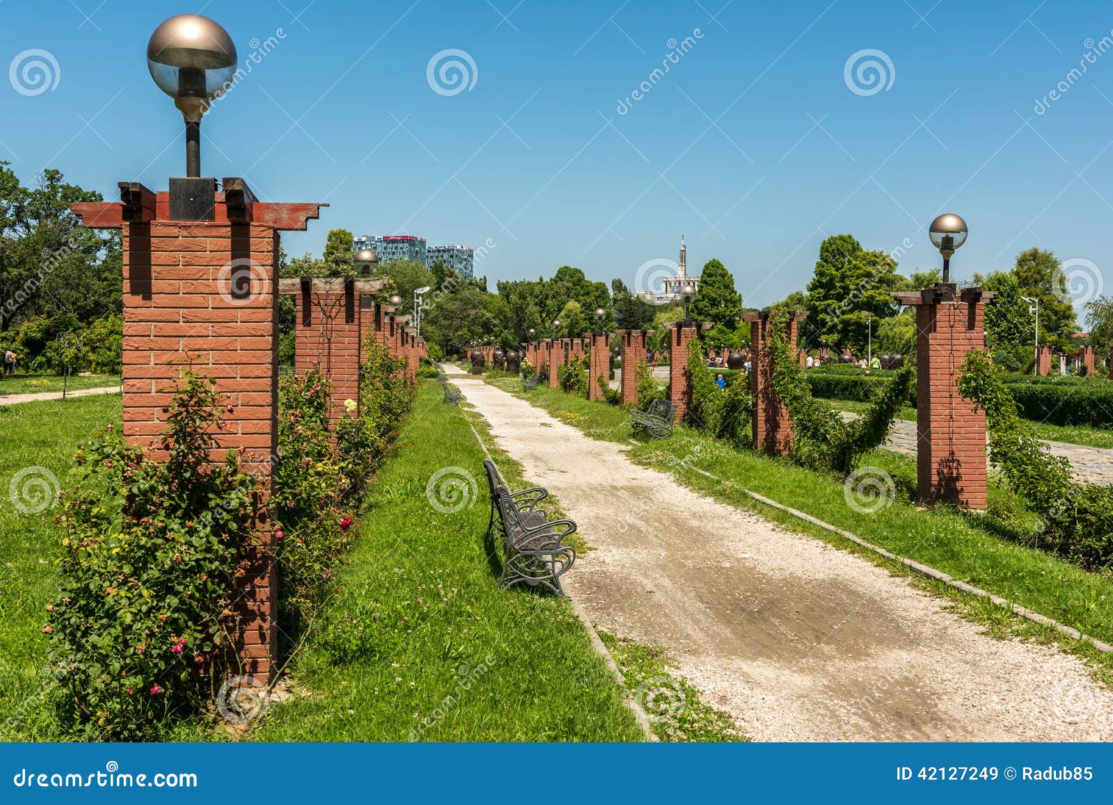 Steegmanier in Het Openbare Park Van Herastrau Redactionele Stock ...