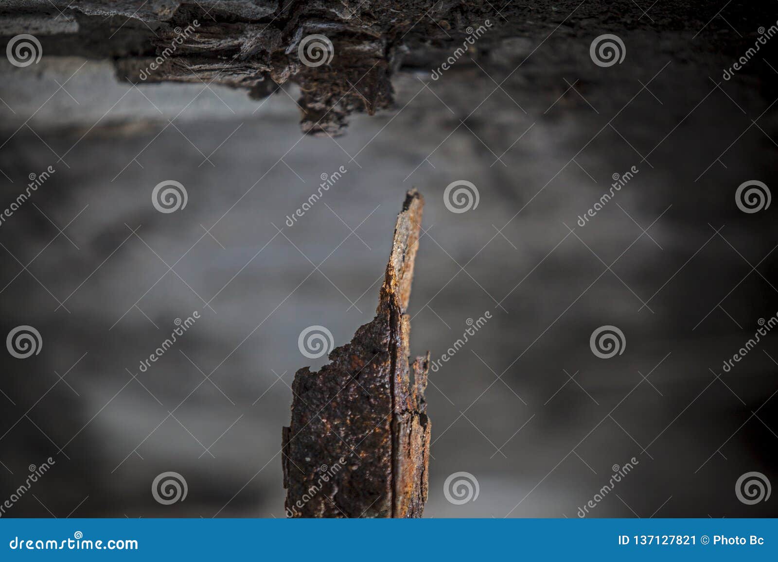 Steel bar rust stock image. Image of stain, detail, texture - 137127821