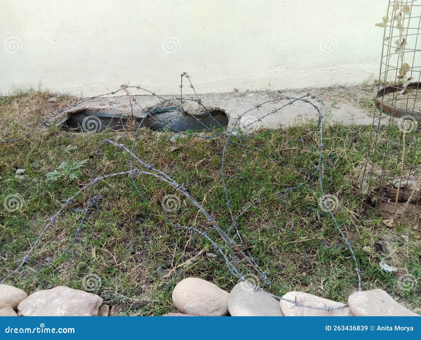 Steel Barbed Wire or Kante Wali Tar Stock Image - Image of industrial ...