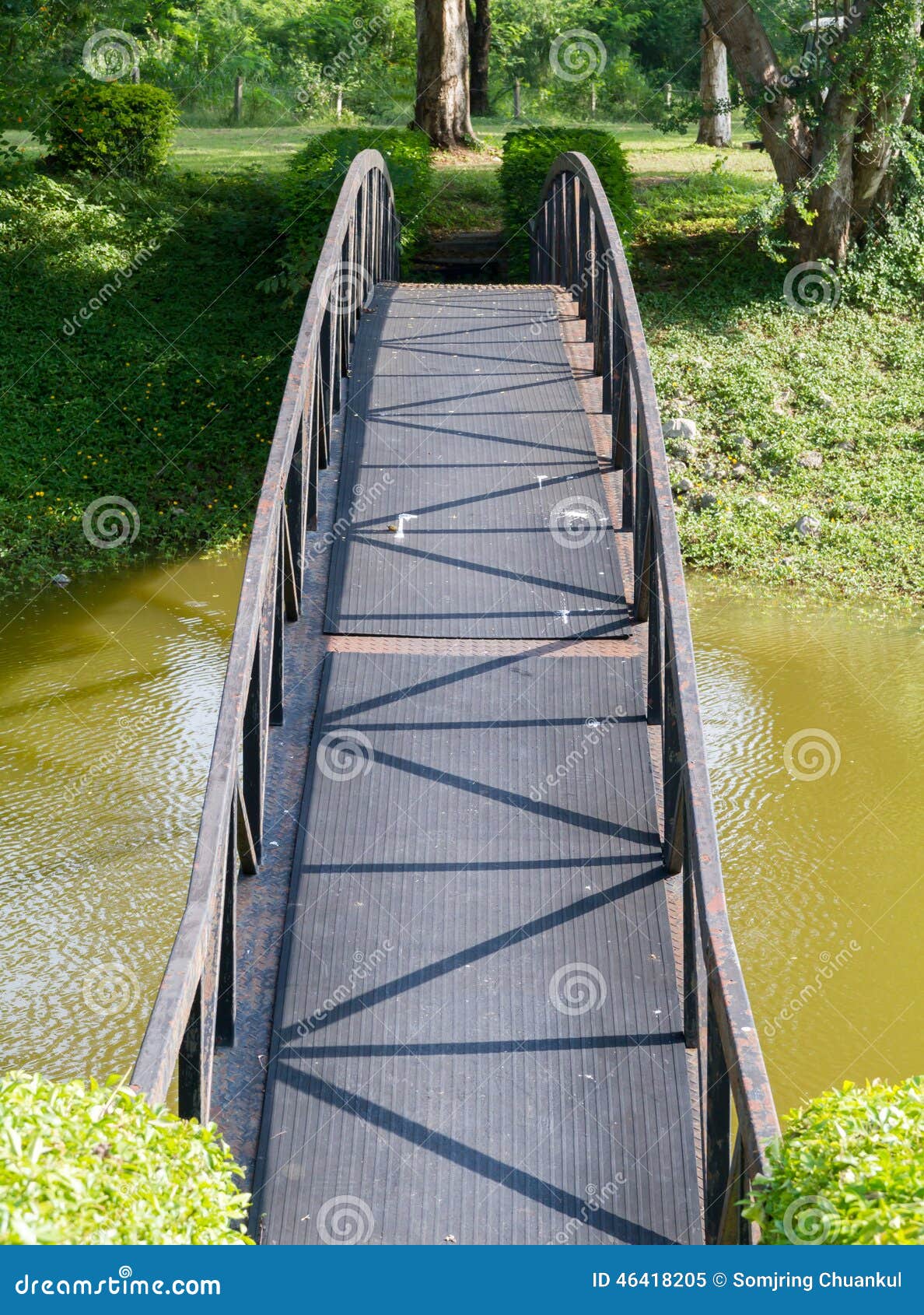 Steel Bridge for Cross Water. Stock Image - Image of environment ...