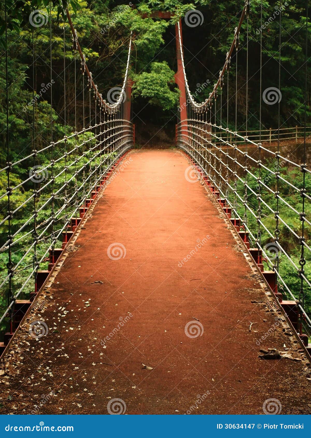 Steel Bridge in the Mountains in Japan Stock Image - Image of famous ...