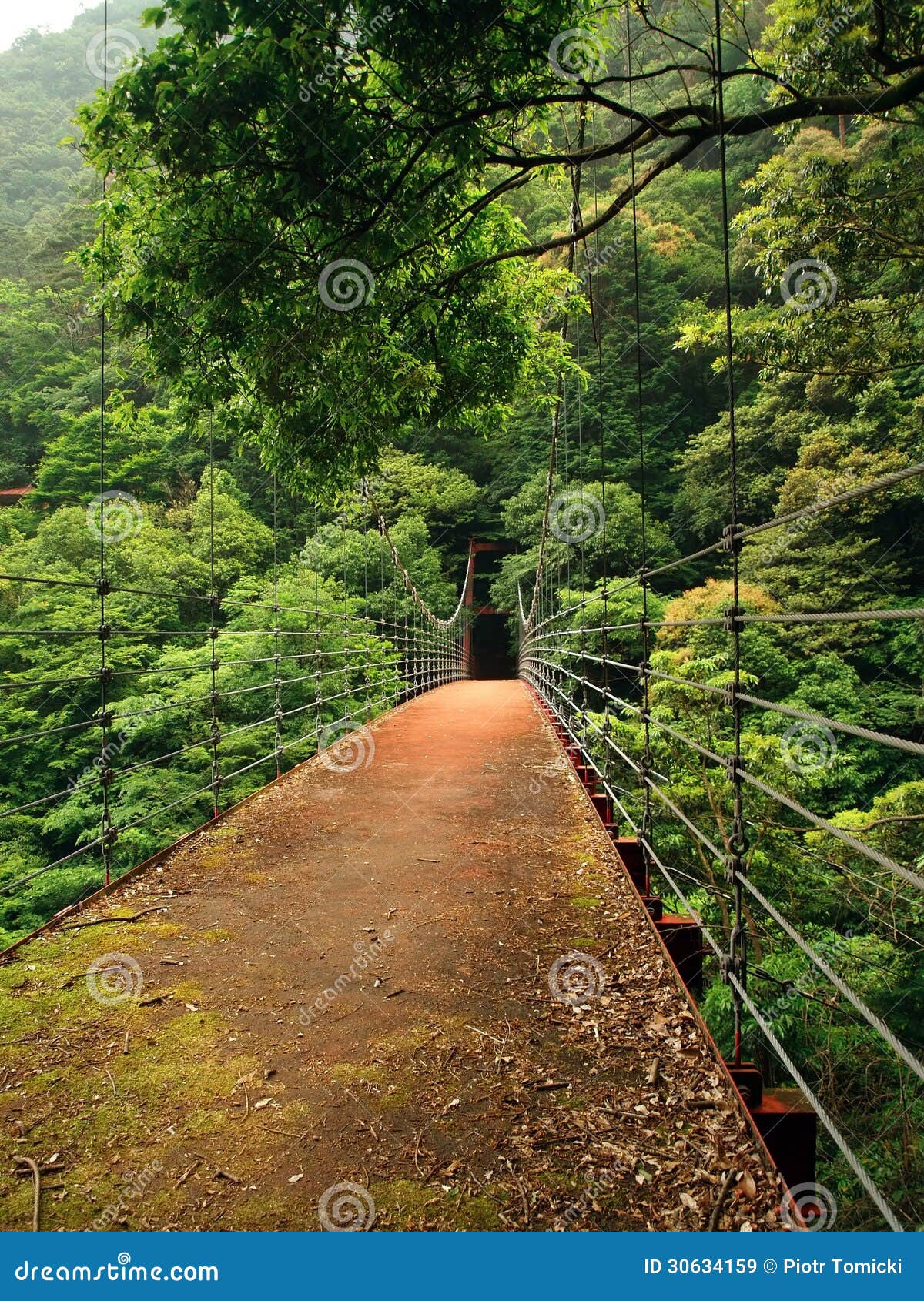 Steel Bridge in the Mountains in Japan Stock Image - Image of mount ...