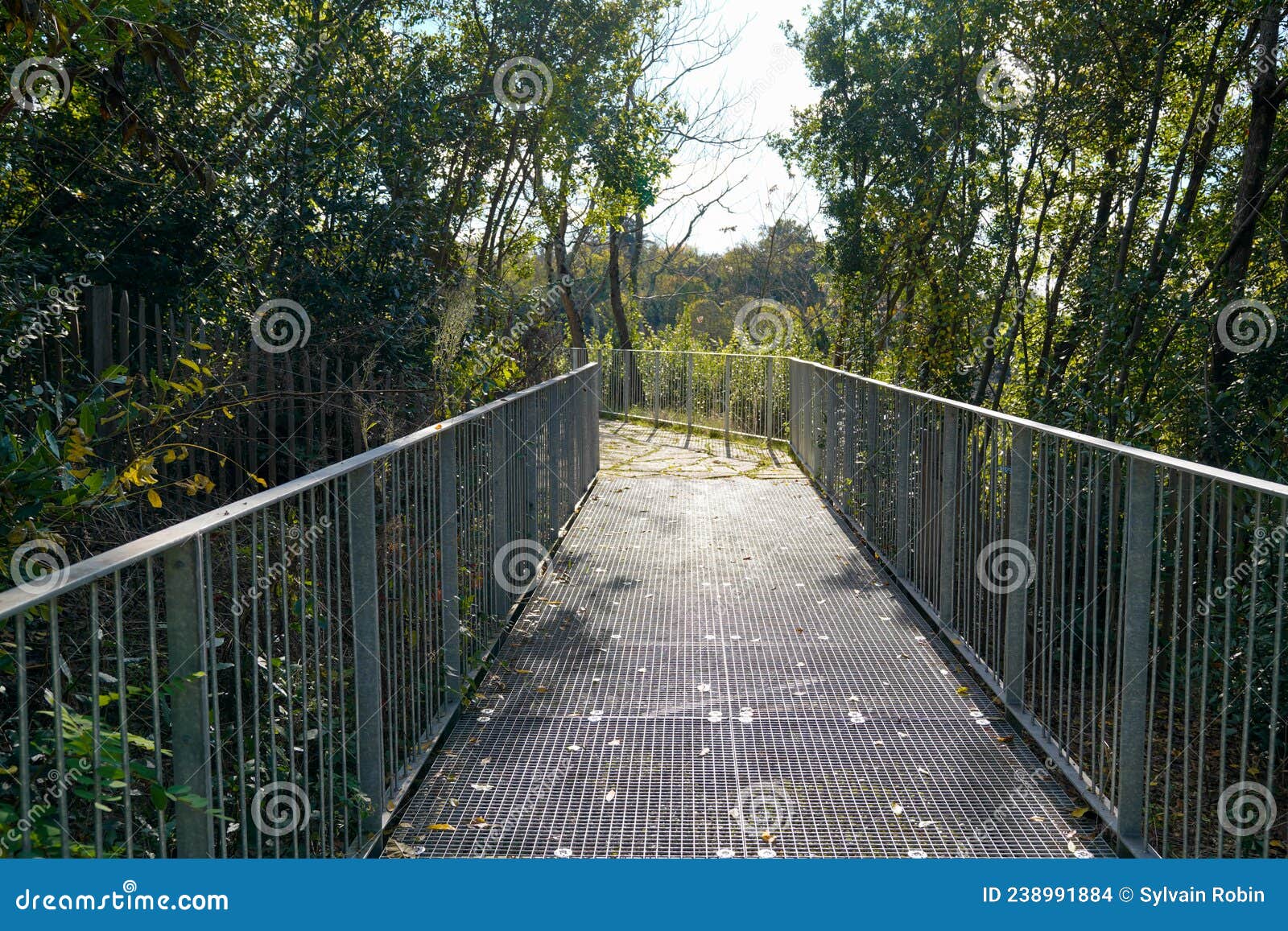 Steel Bridge Path Metal Pathway in Forest Park Stock Photo - Image of ...