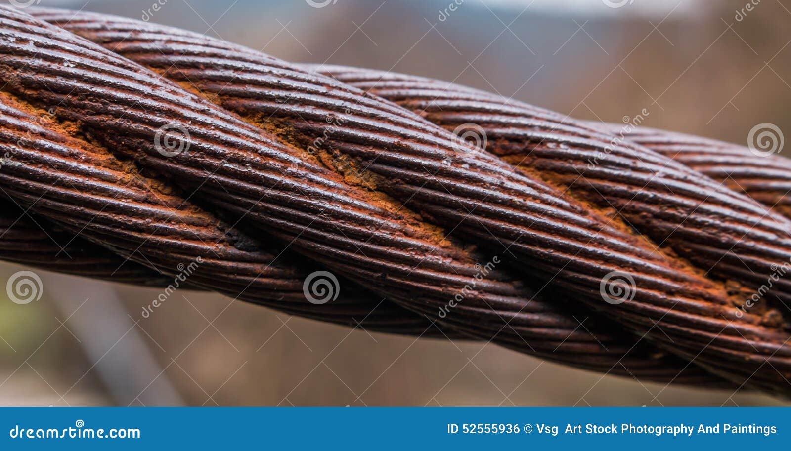 Steel cable close-up stock photo. Image of metal, abstract - 52555936
