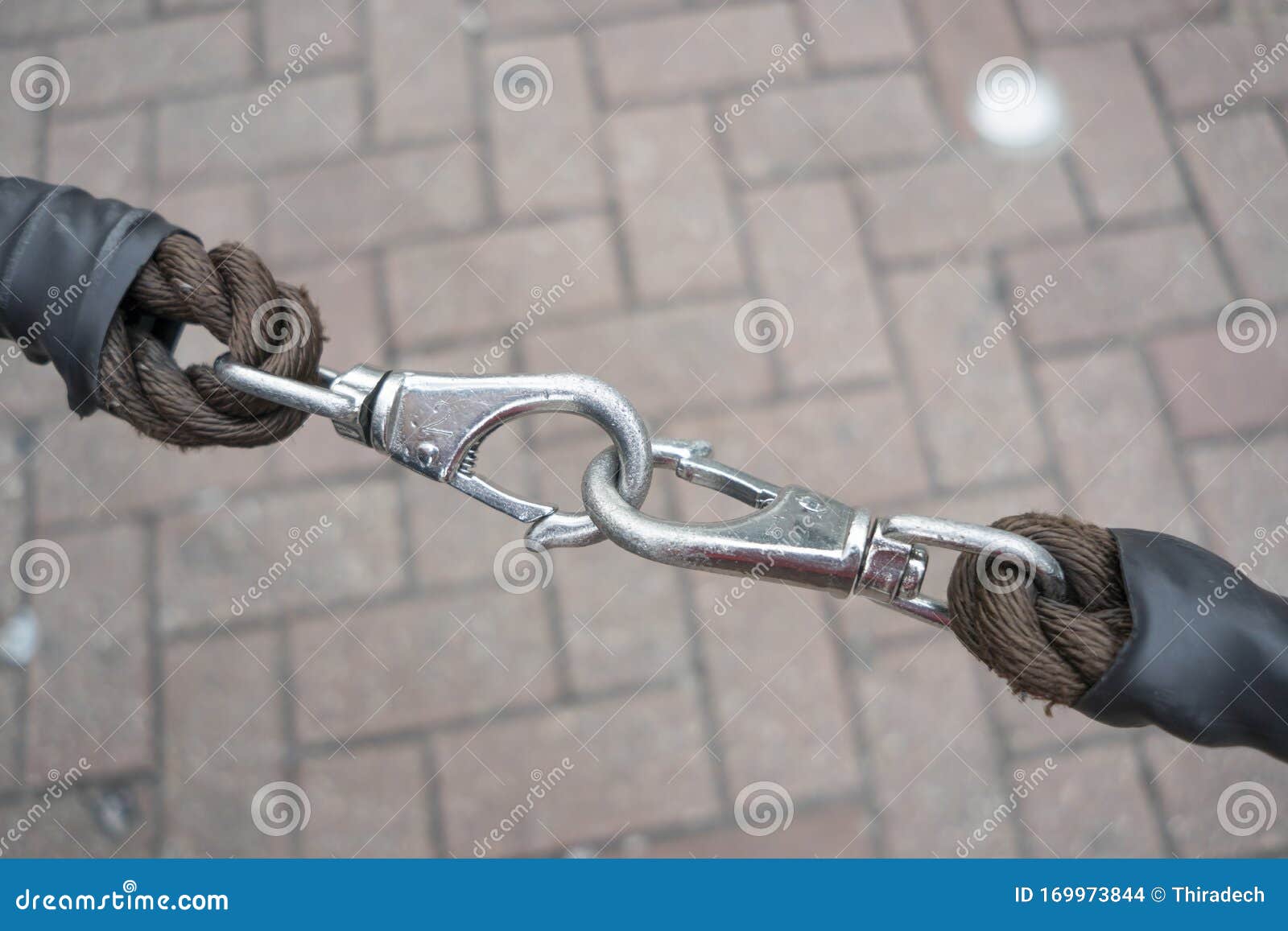 Steel chain for safety stock photo. Image of strength - 169973844