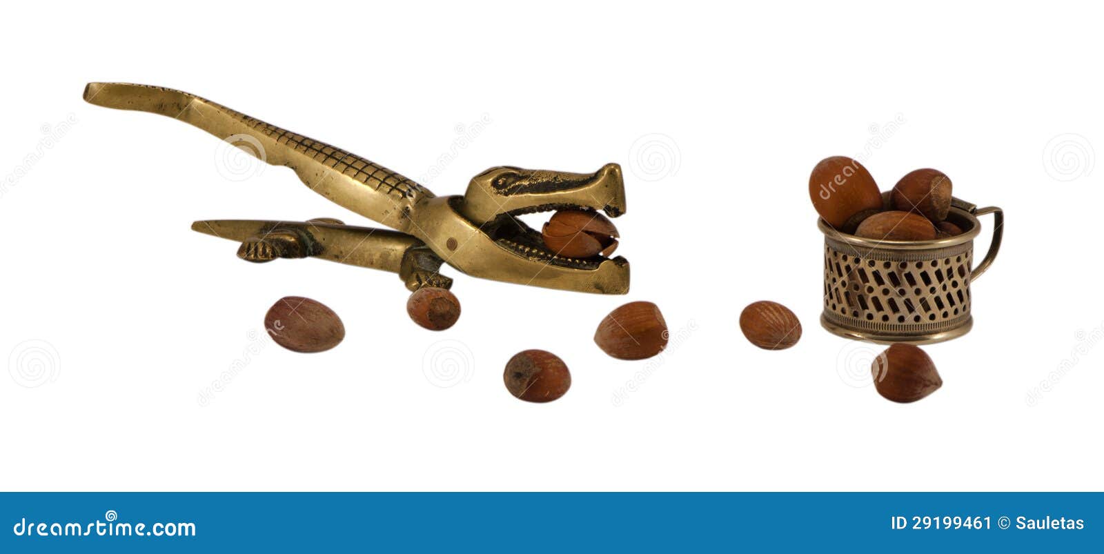Steel Crocodile Nut Crush Tool Cup Cobnut Stock Image - Image of hull ...