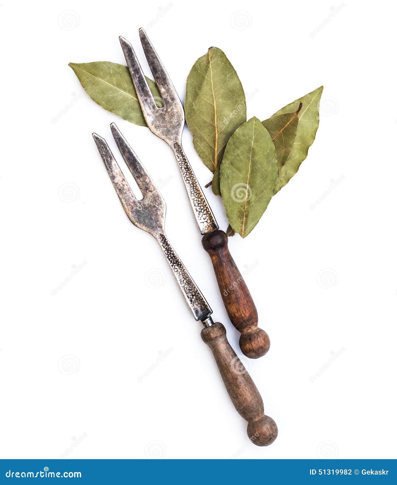 Steel fork and bay leaves stock photo. Image of natural - 51319982