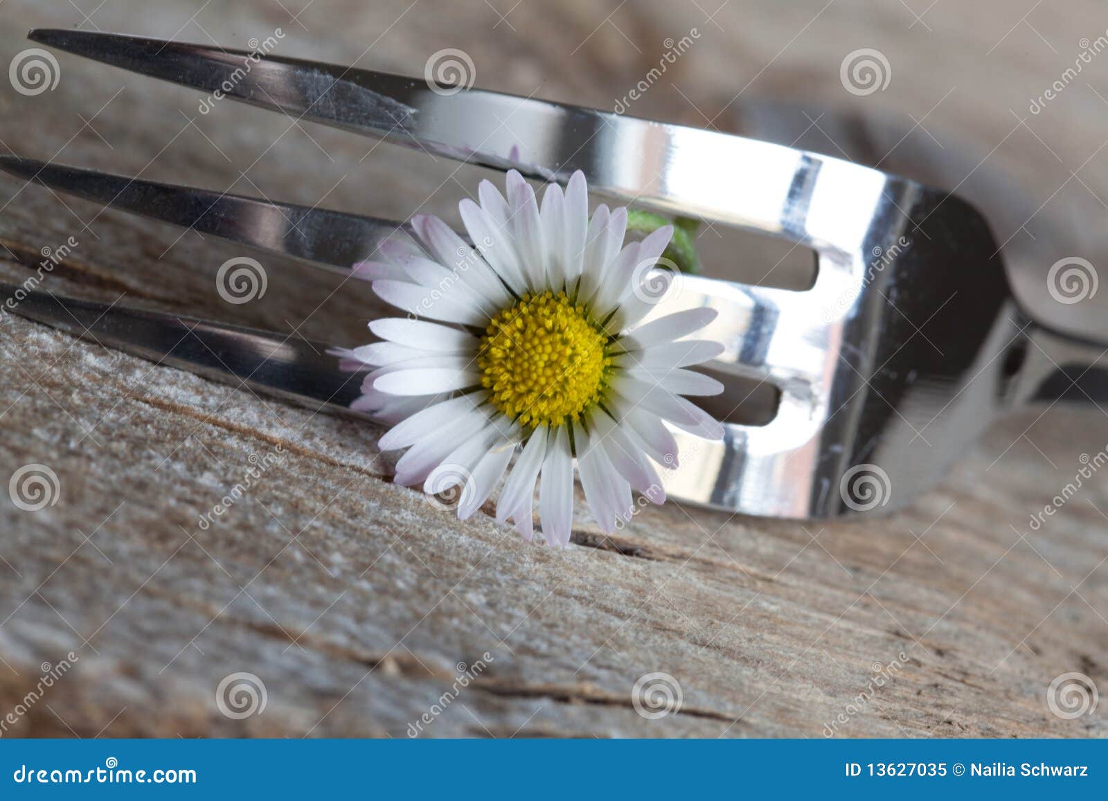 Steel Fork and flower stock image. Image of home, restaurant - 13627035