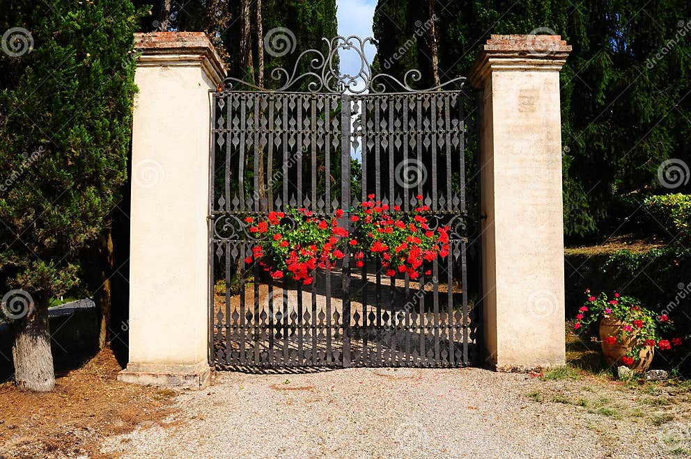 Steel Gate stock image. Image of door, flower, doorknob - 15907623