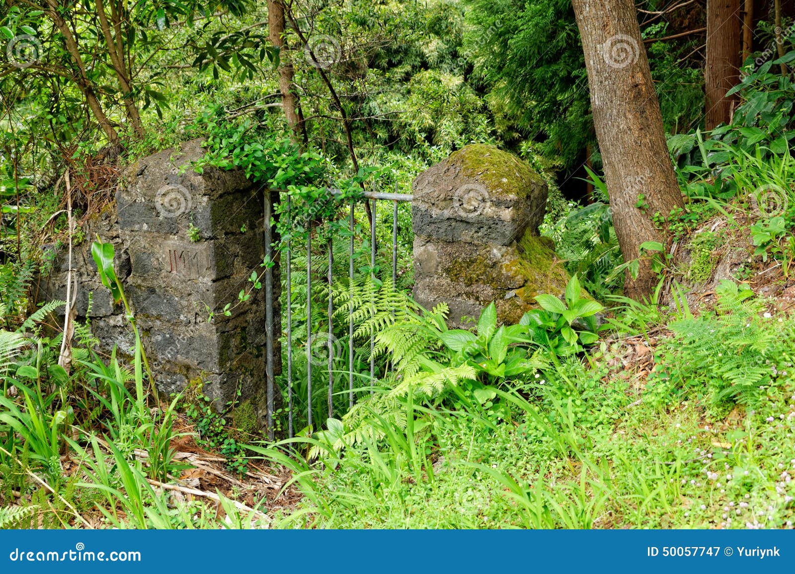 Steel gate in the forest stock image. Image of distant - 50057747