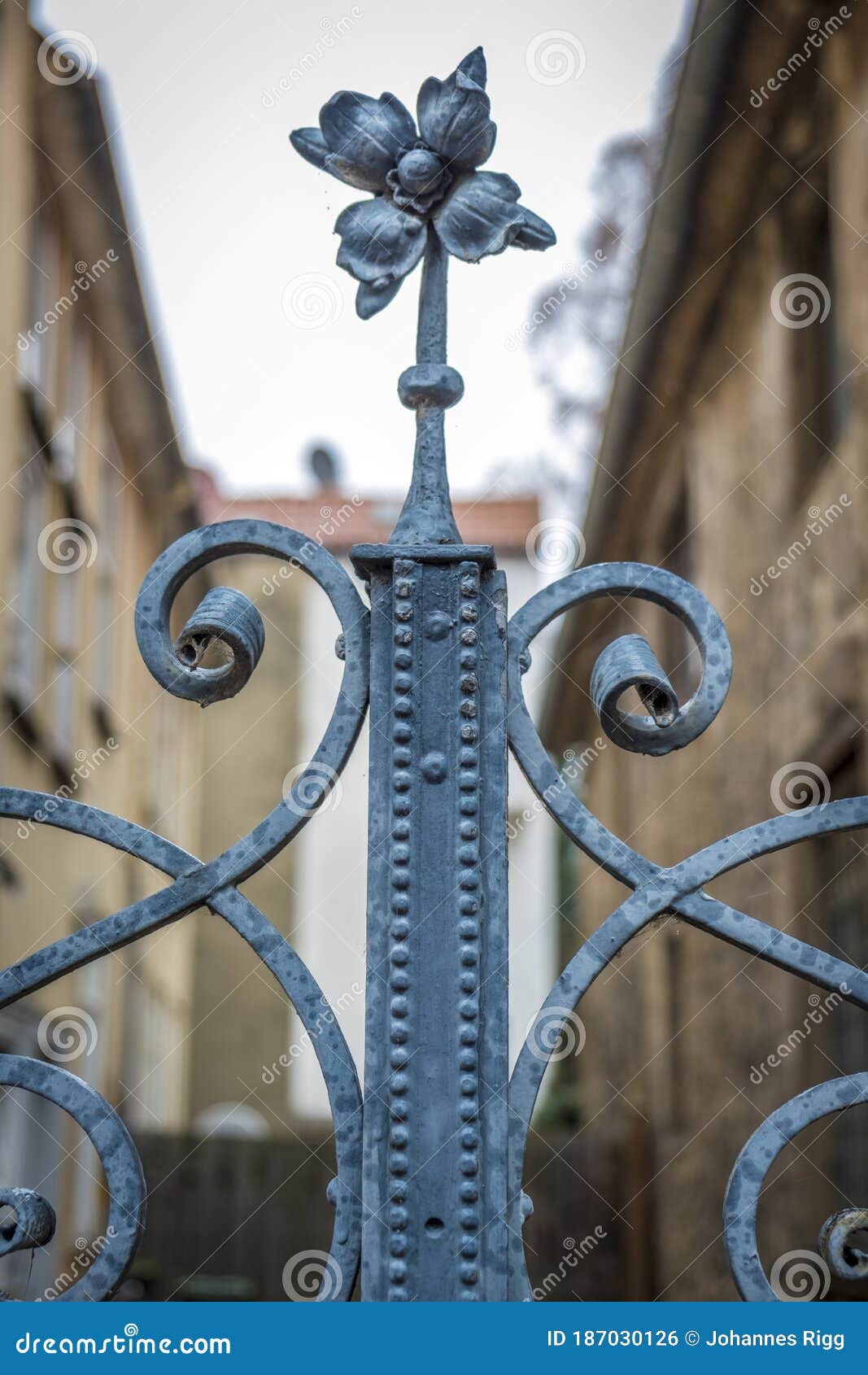 Steel Gate with One Flower Design Stock Photo - Image of entrance ...
