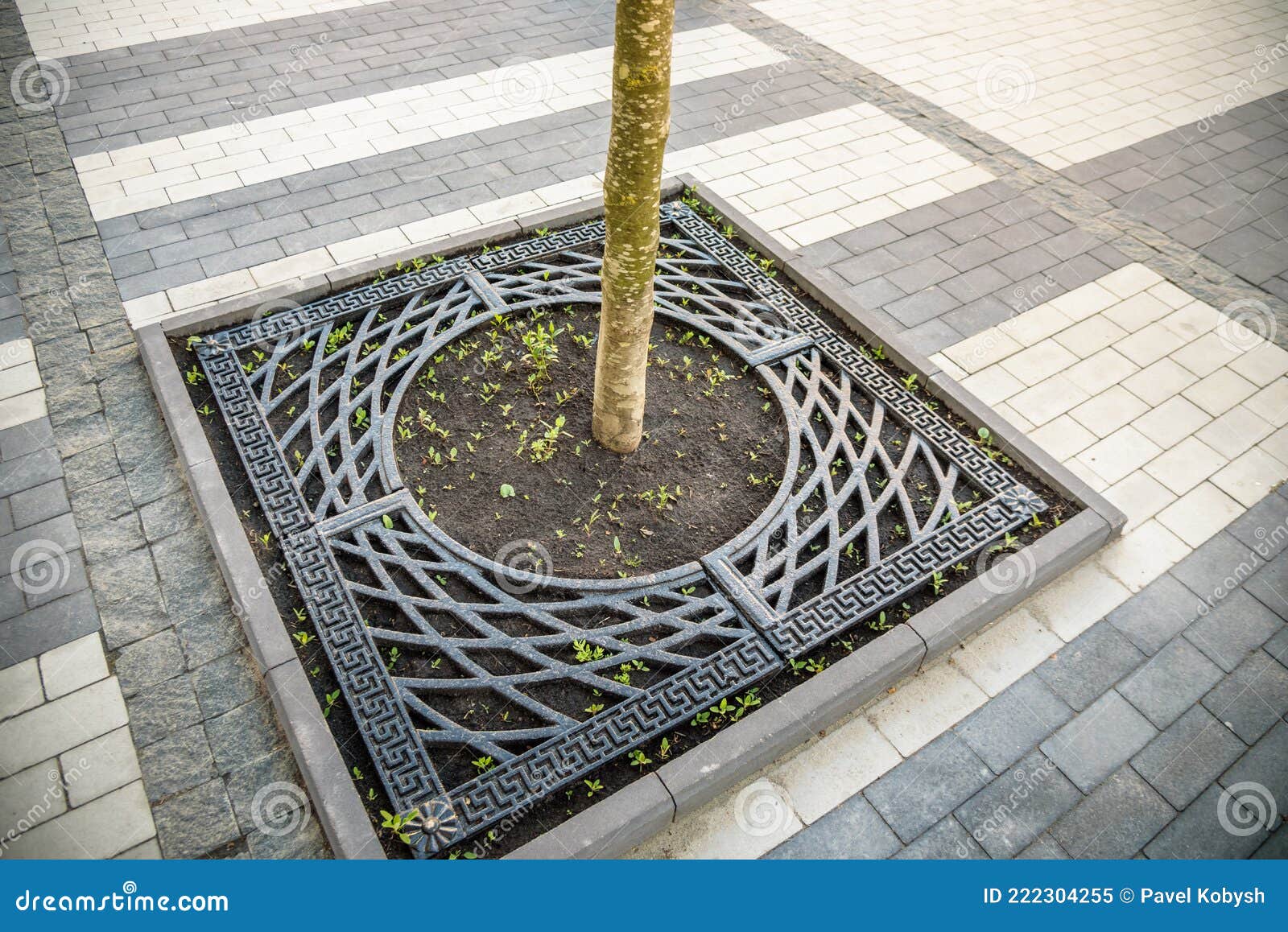 Steel Gray Trellis Around the Tree Trunk on the Sidewalk Stock Image ...