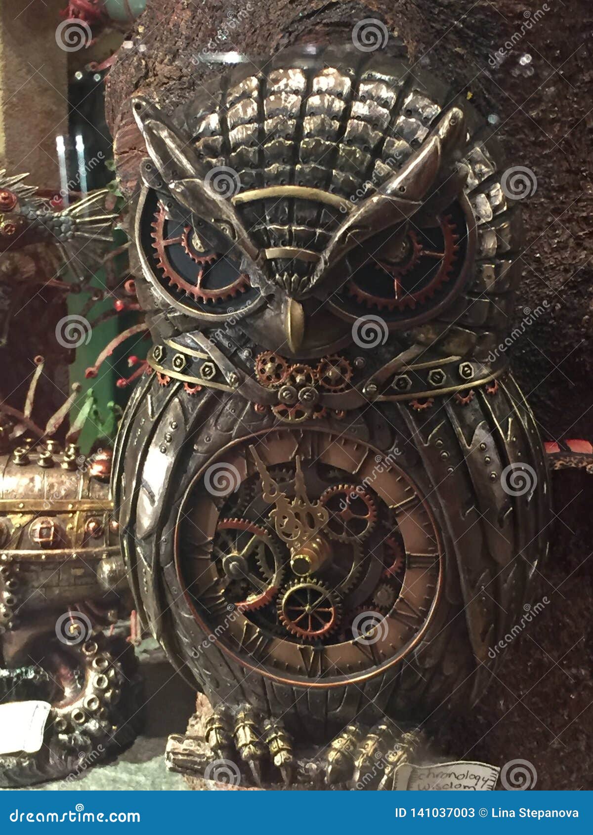 Steel owl stock image. Image of watch, look, like, alive - 141037003