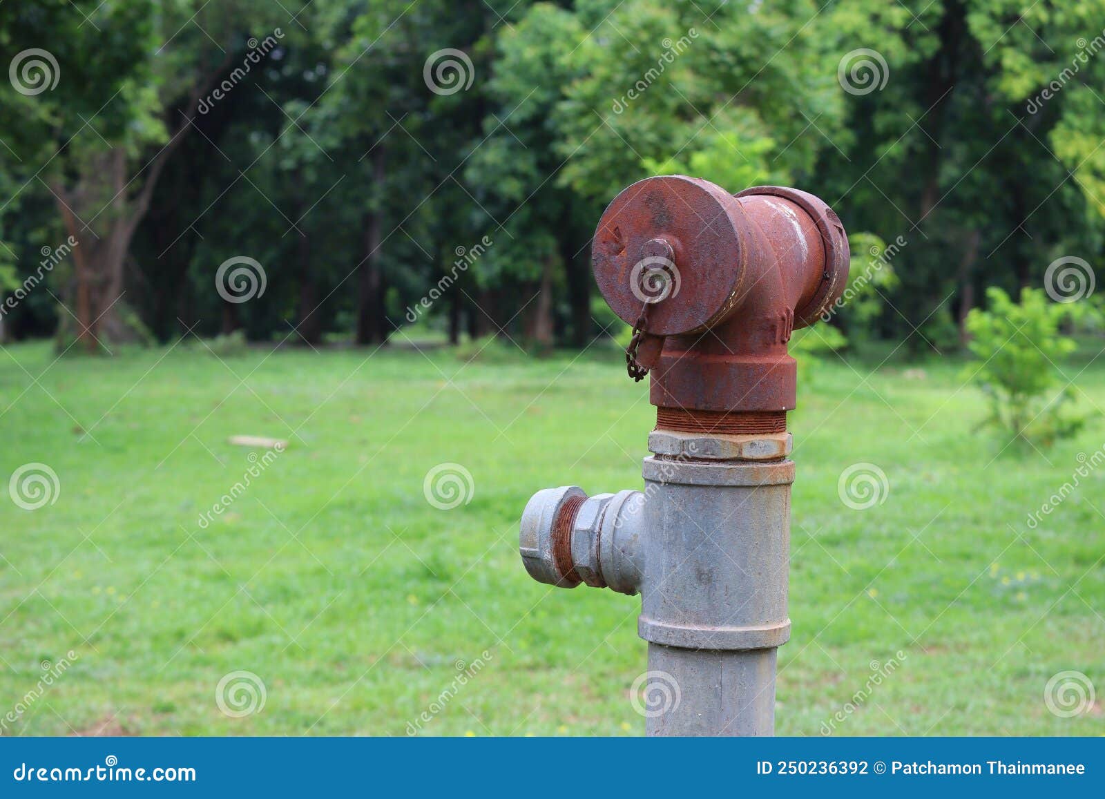 Steel Pipe Fire Suppression Systems Installed In Rural Areas, Alerting ...