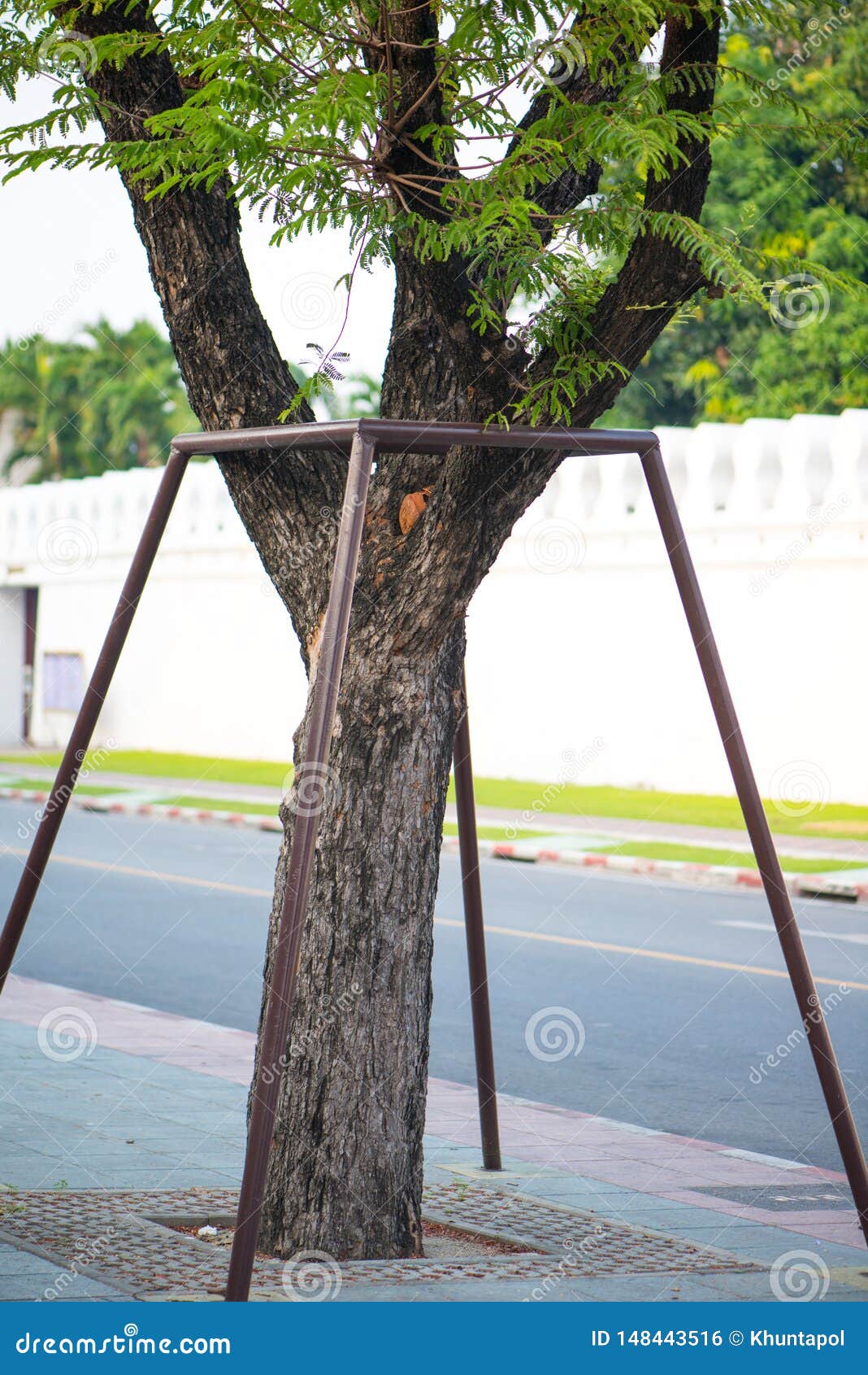 Steel Pipe Support Tree Stock Photo | CartoonDealer.com #148443516