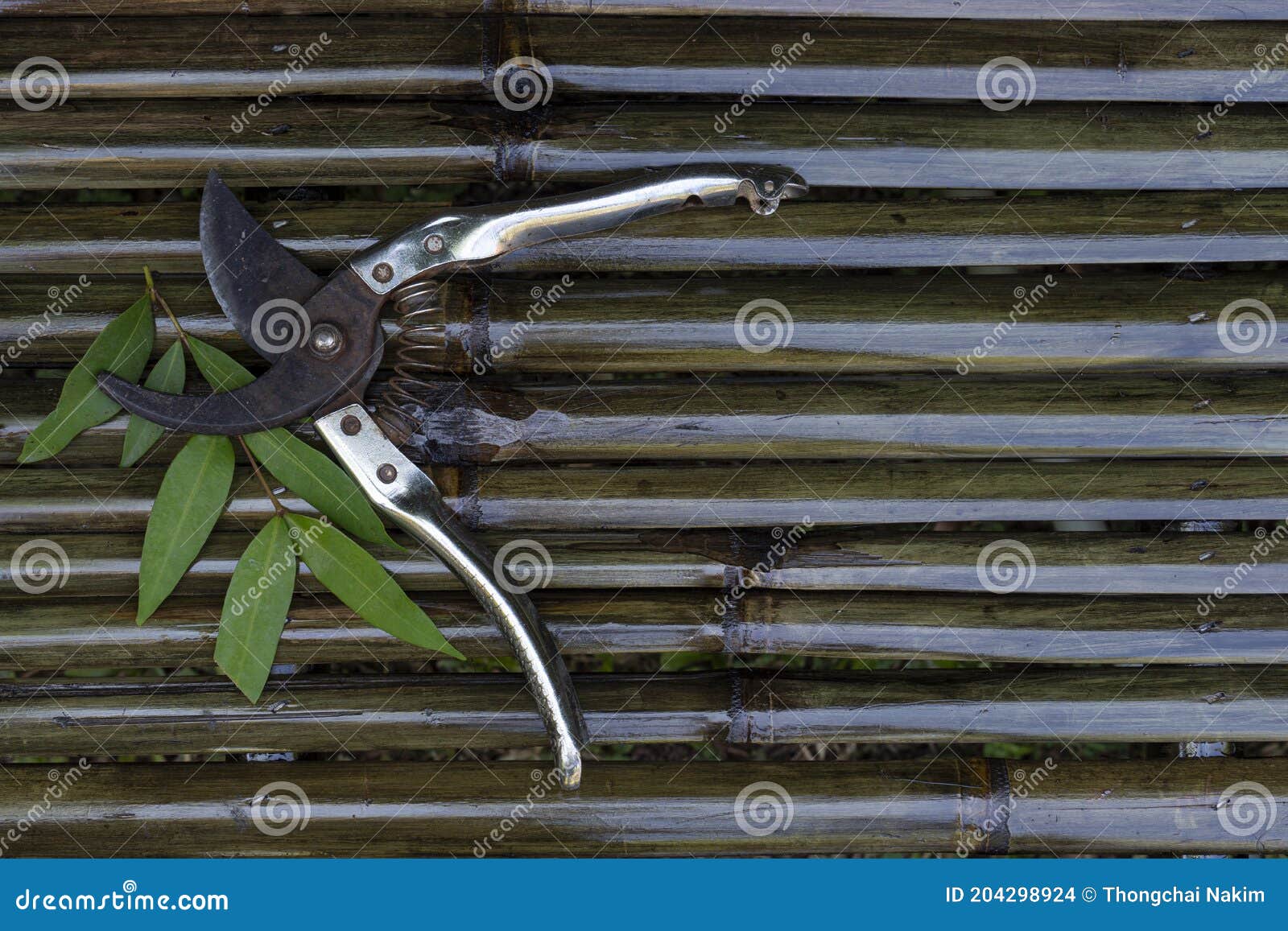 Steel Pruning Shears Placed on the Table Top. Stock Photo - Image of ...