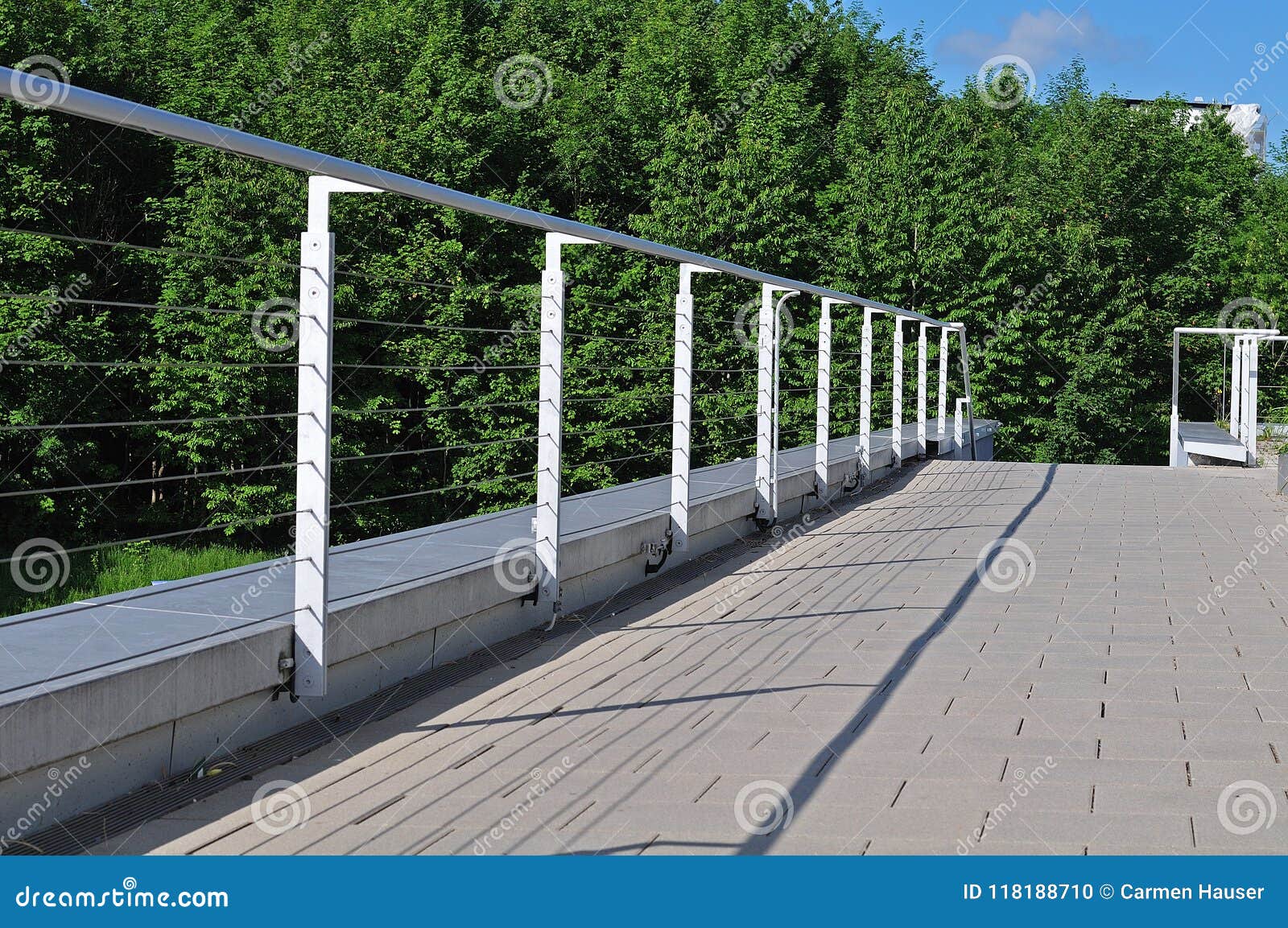 Steel Railing with Wire Ropes Stock Photo - Image of railing, deciduous ...