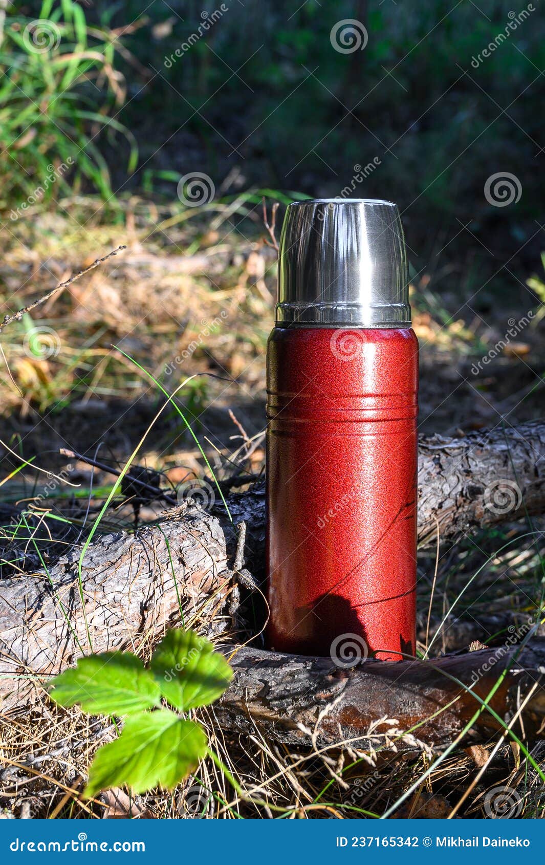 Steel Red Camping Thermos with Tea in the Forest Stock Photo - Image of ...