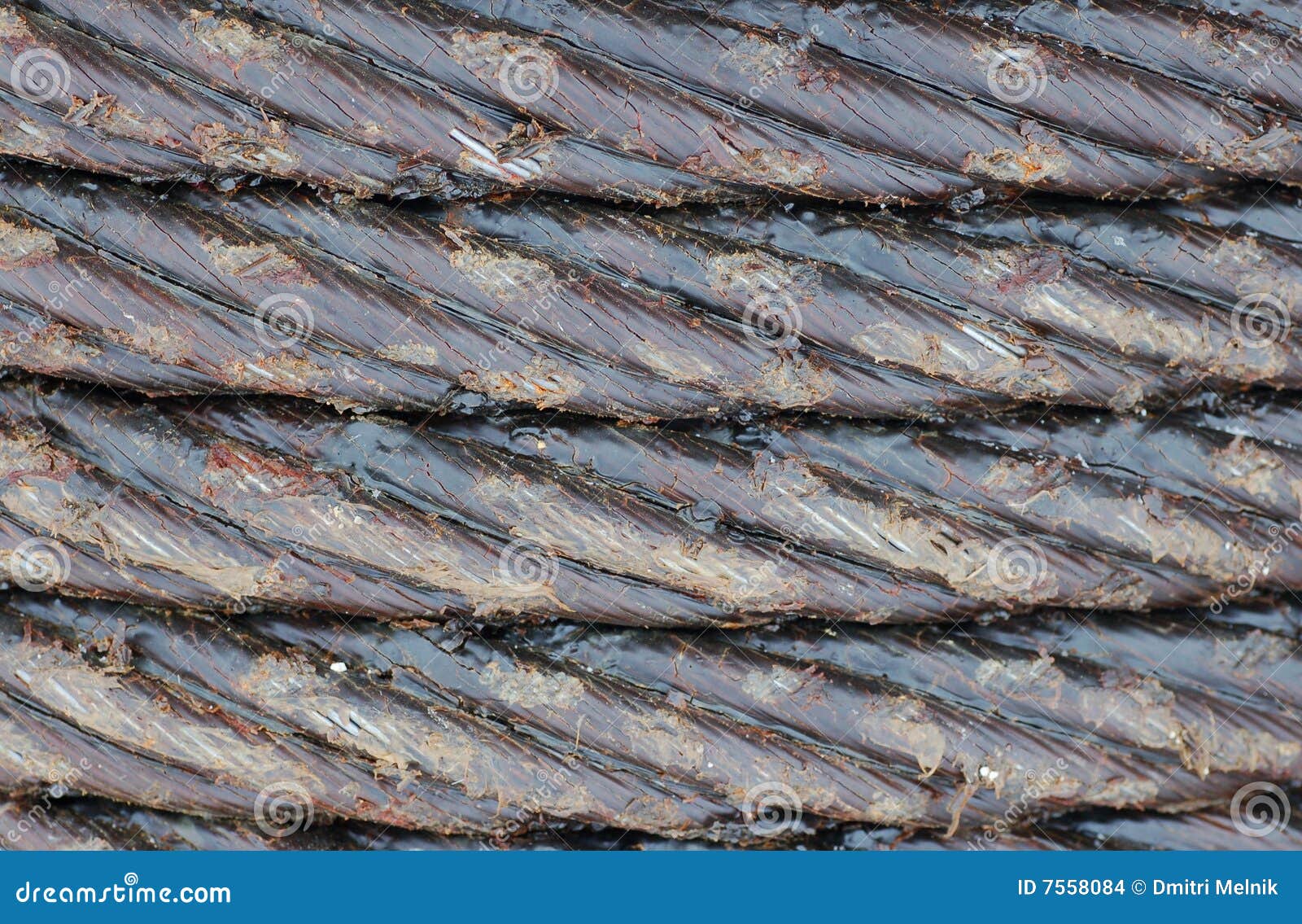 Steel rope in grease stock photo. Image of twine, metallic - 7558084