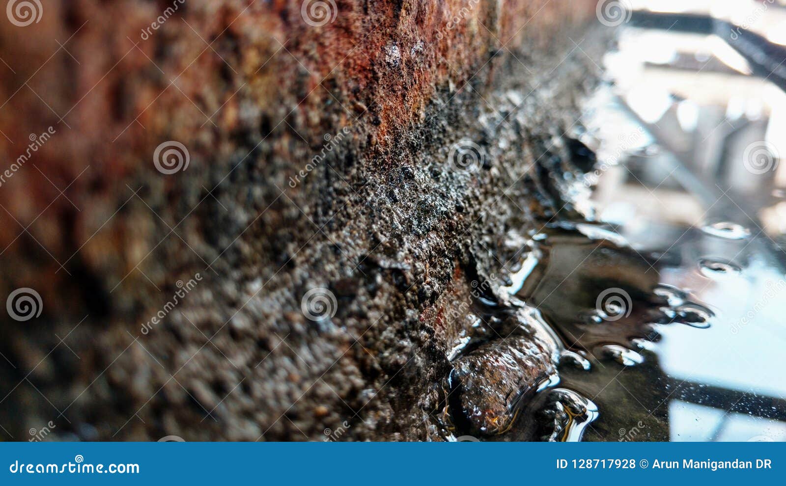 Steel Rust with Green Water Algae Stock Photo - Image of rusted, rust ...