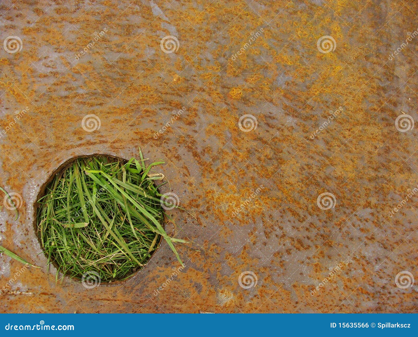 Steel Rusty Plate with Grass Stock Photo - Image of distressed, design ...