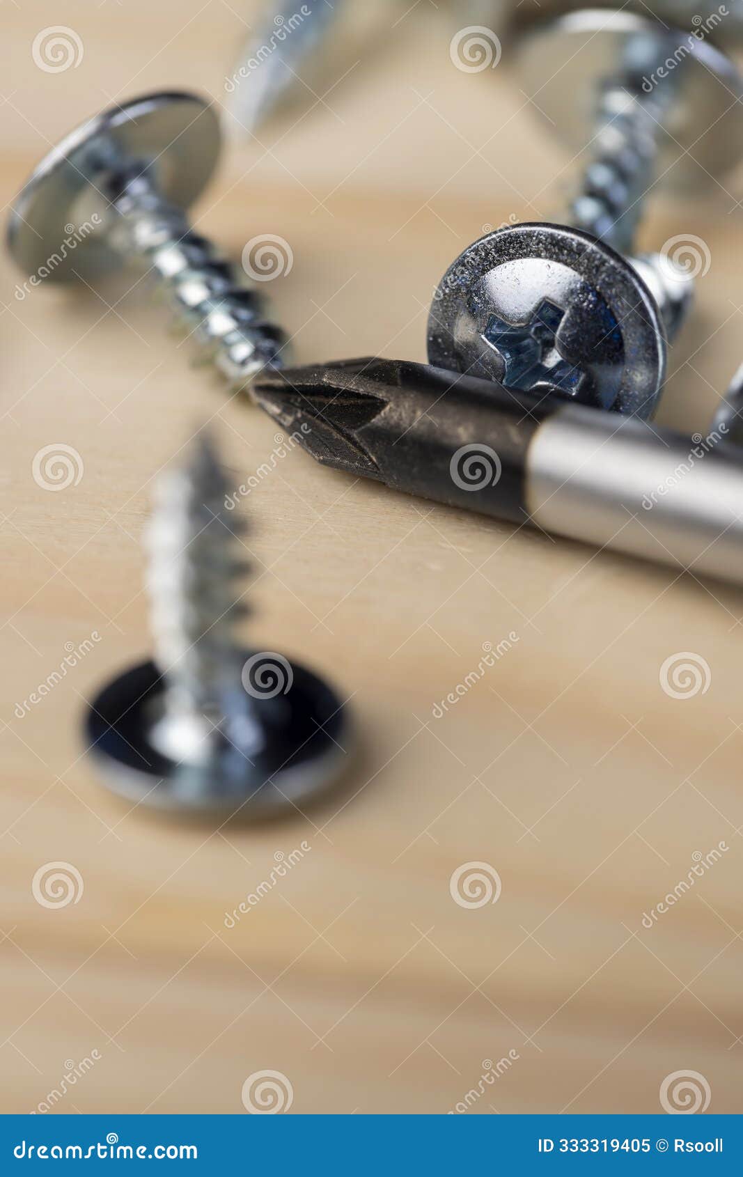 Steel Self-tapping Screws for Fixing Wooden Objects Stock Image - Image ...