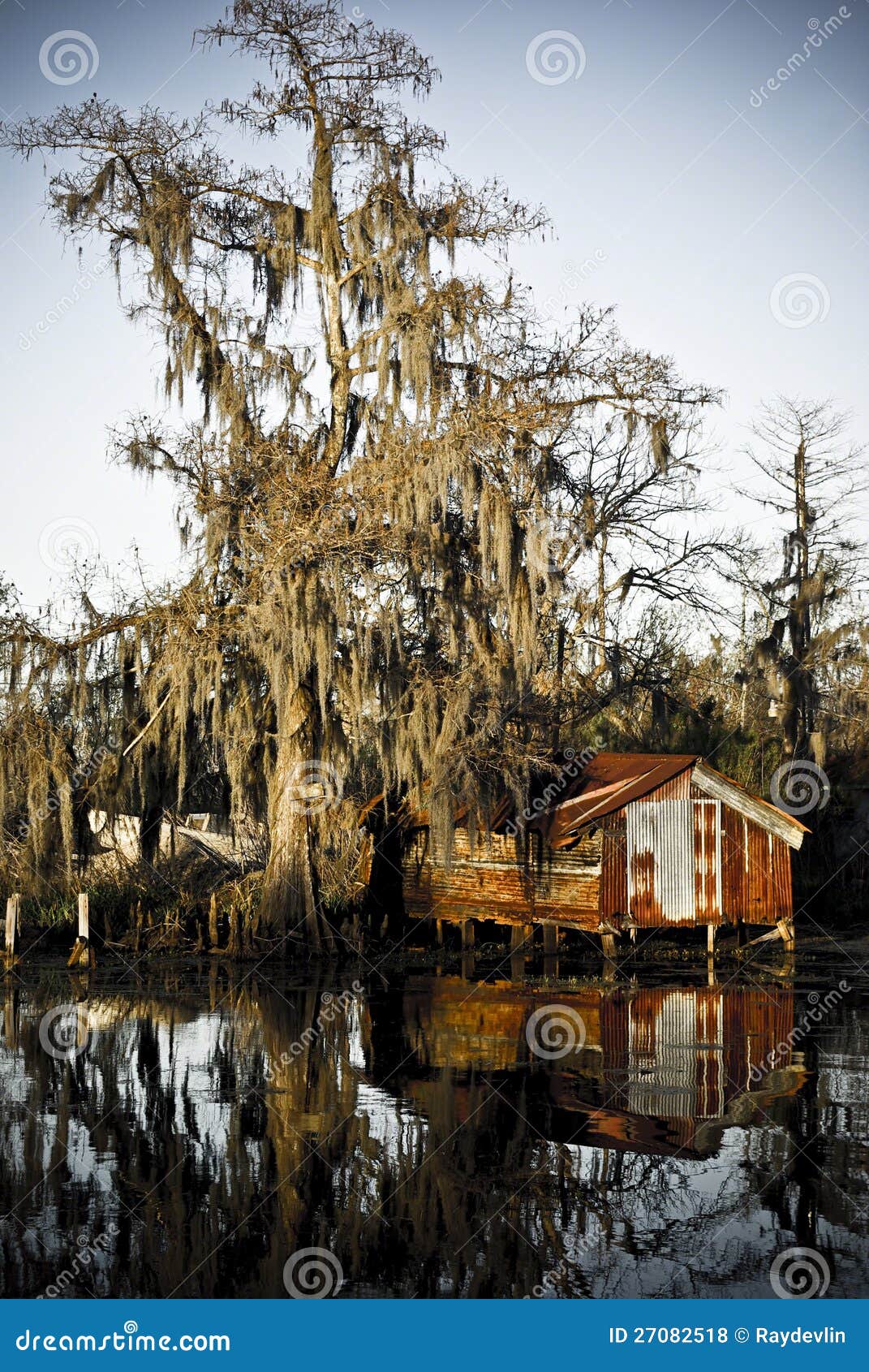 A Steel Shack Reflected in the Water of a Swamp Stock Photo - Image of ...