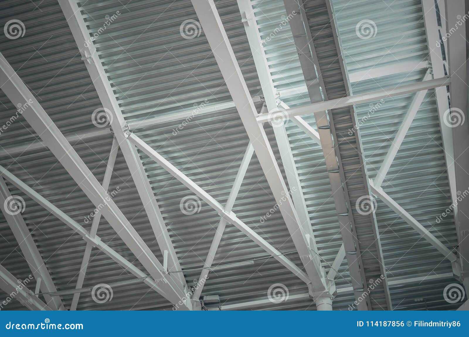 Steel Structure Skeleton with Corrugated Board Proflinite of the ...