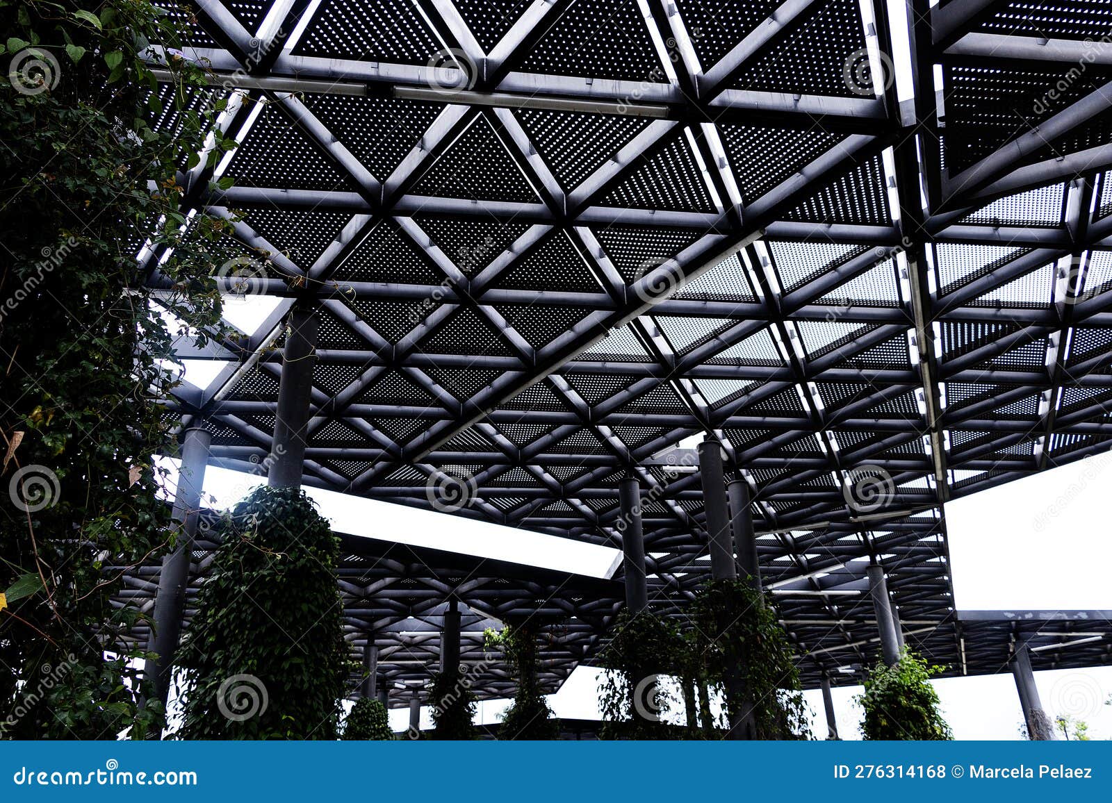 Steel Structure with Triangular Pattern and Climbing Plants Stock Photo ...