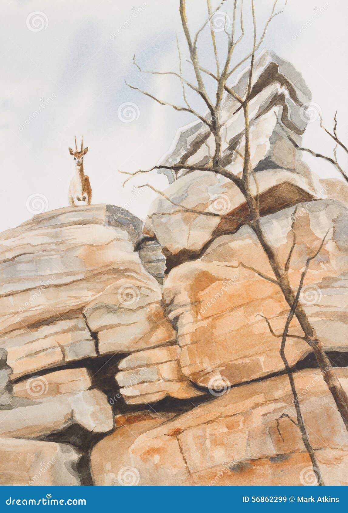Steenbok Looking Over a Cliff Face. Stock Illustration - Illustration ...