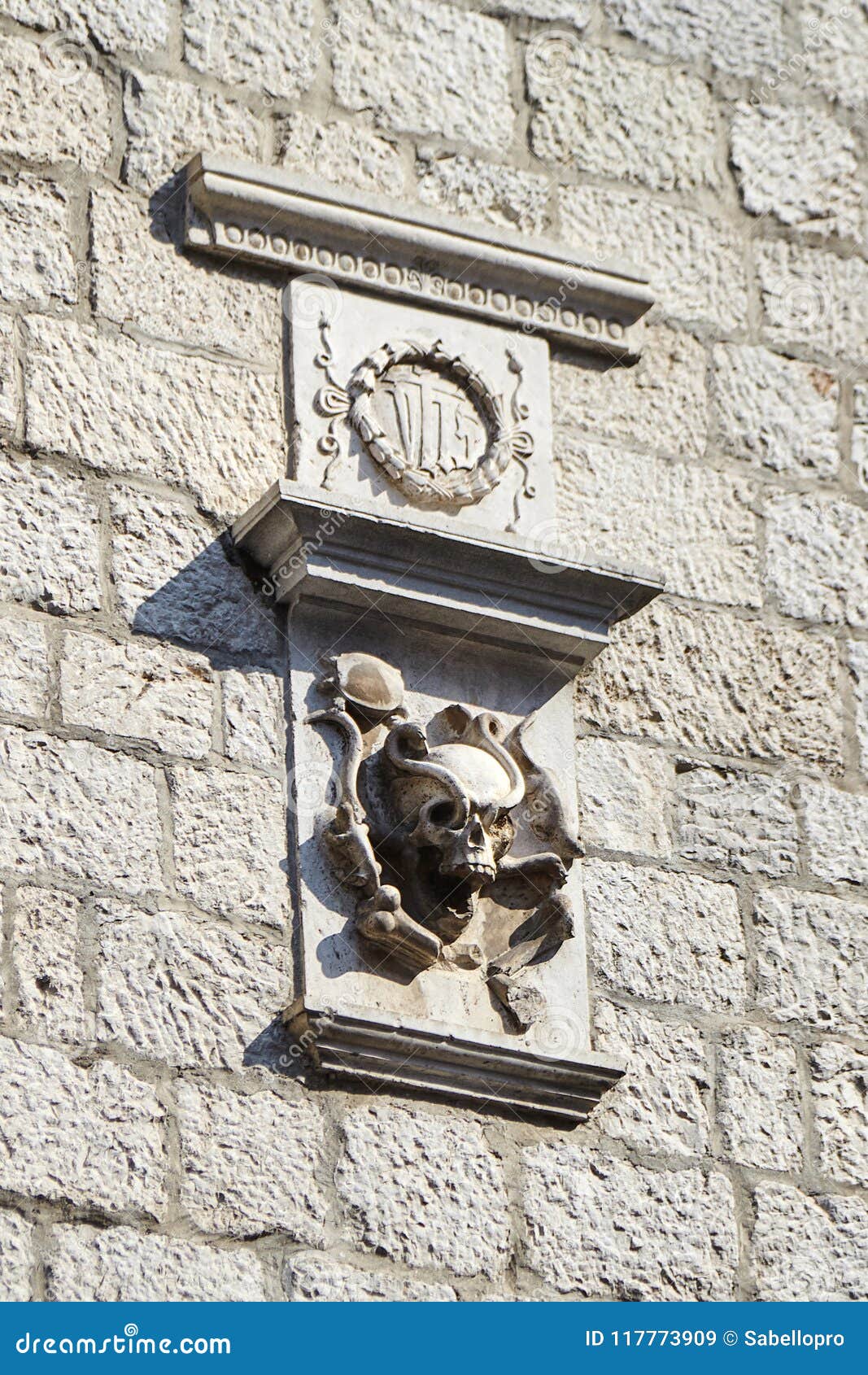 Steenhulp Op De Muur Met Het Beeld Van Een Schedel, Een Schildpad, a ...