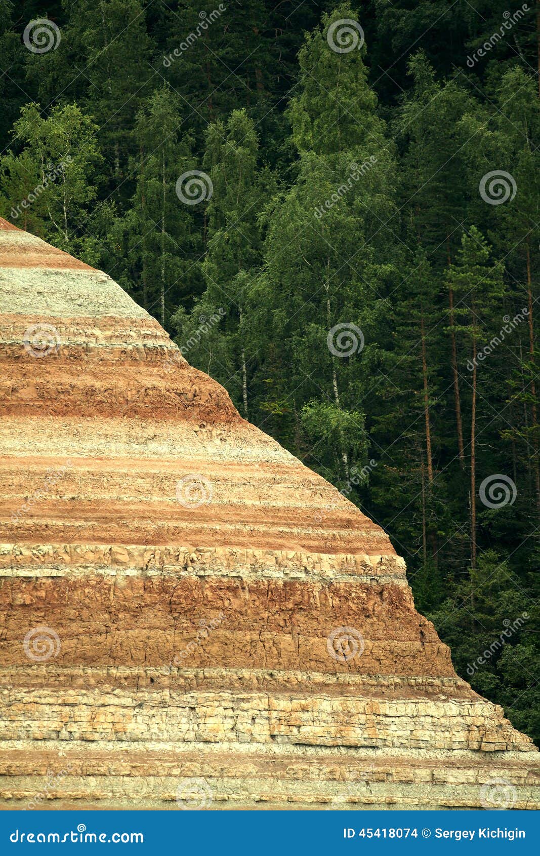 Steep Bank Canyon Green Forest Stock Photo - Image of park, adventure ...