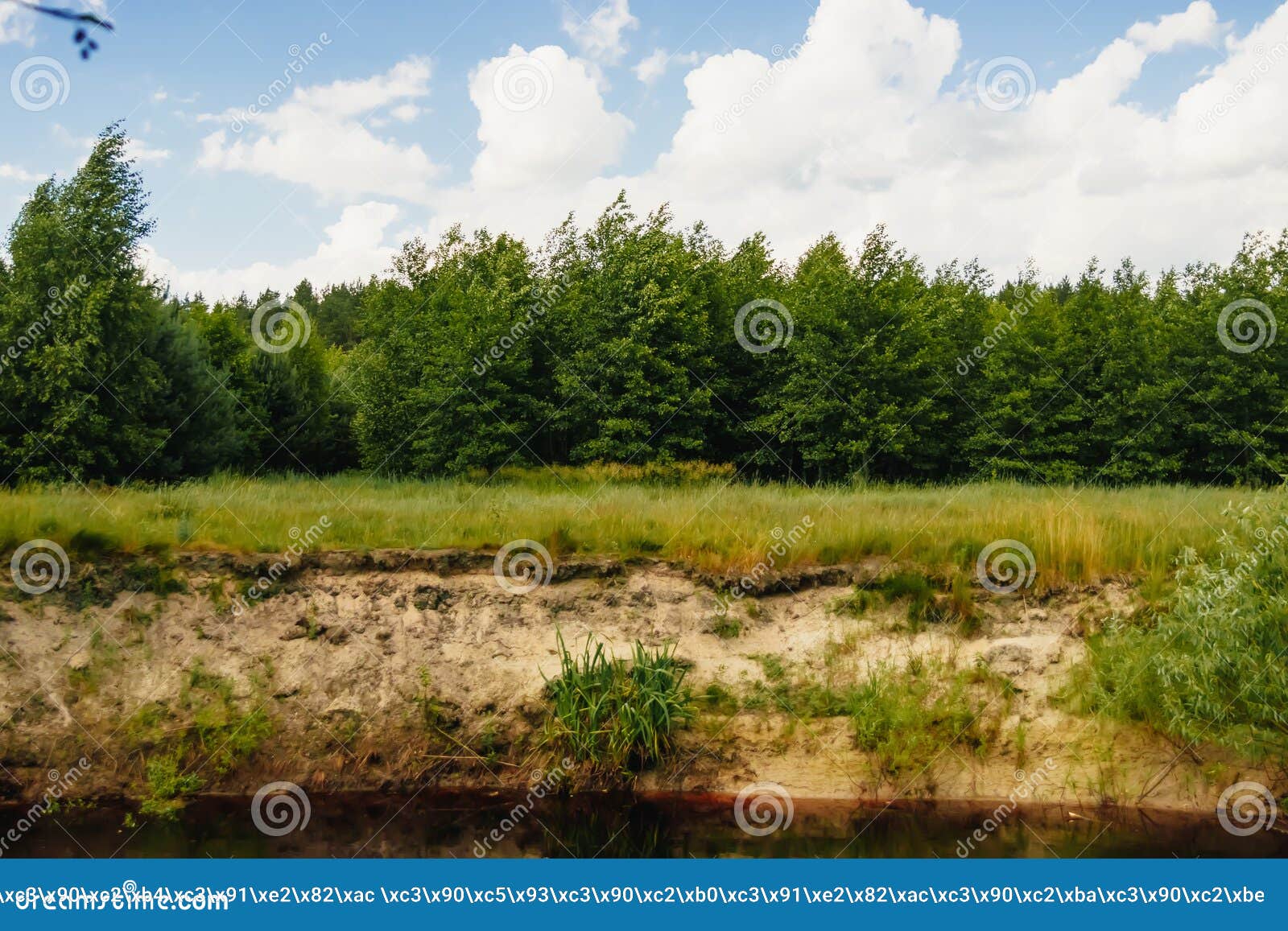 The Steep Bank of the River Stock Photo - Image of green, beach: 159521446