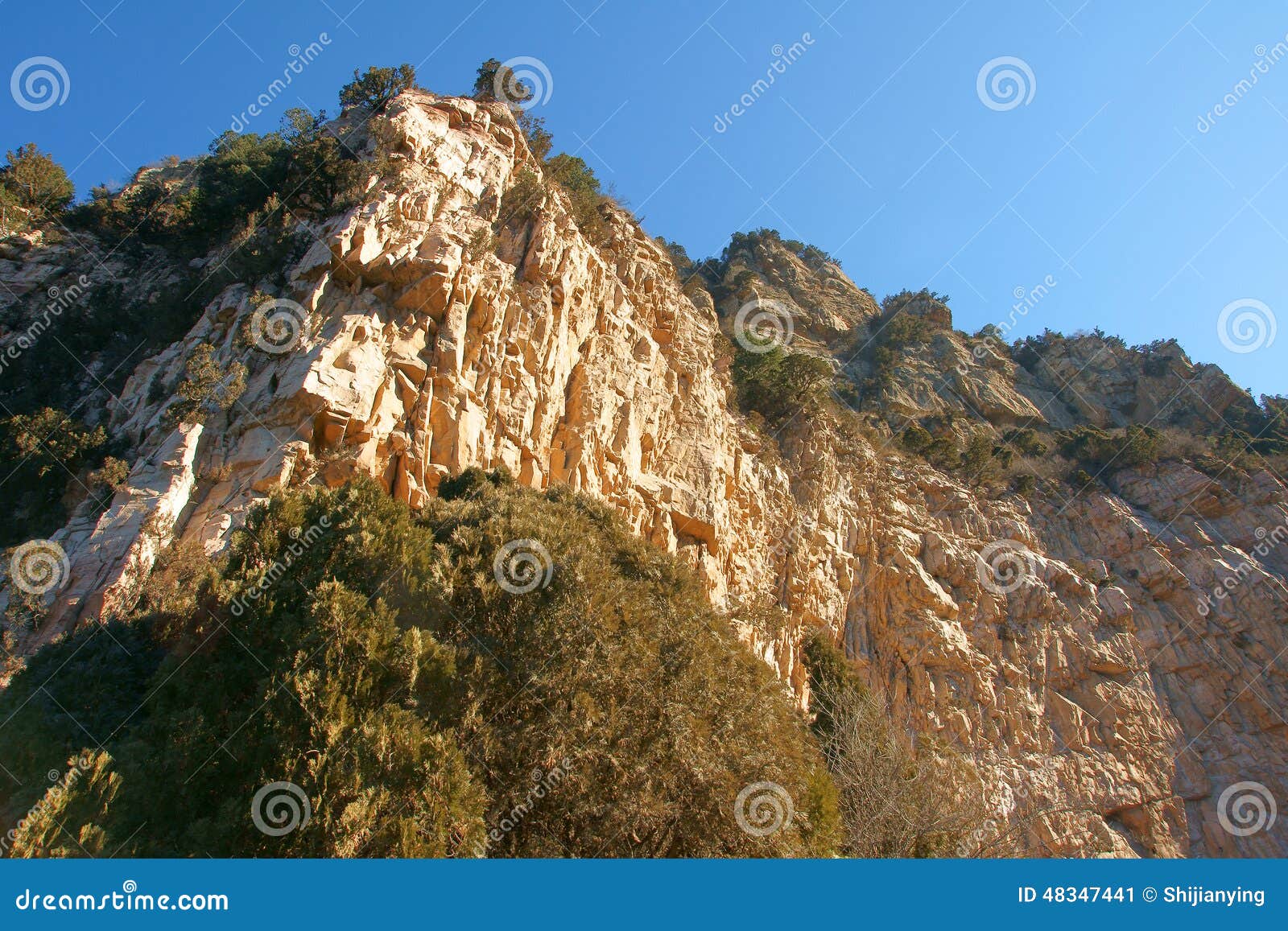 Steep cliff stock image. Image of bush, rocks, precipice - 48347441