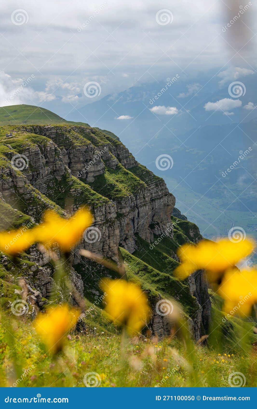A Steep Cliff Overgrown with Grass Stock Photo - Image of mountain ...