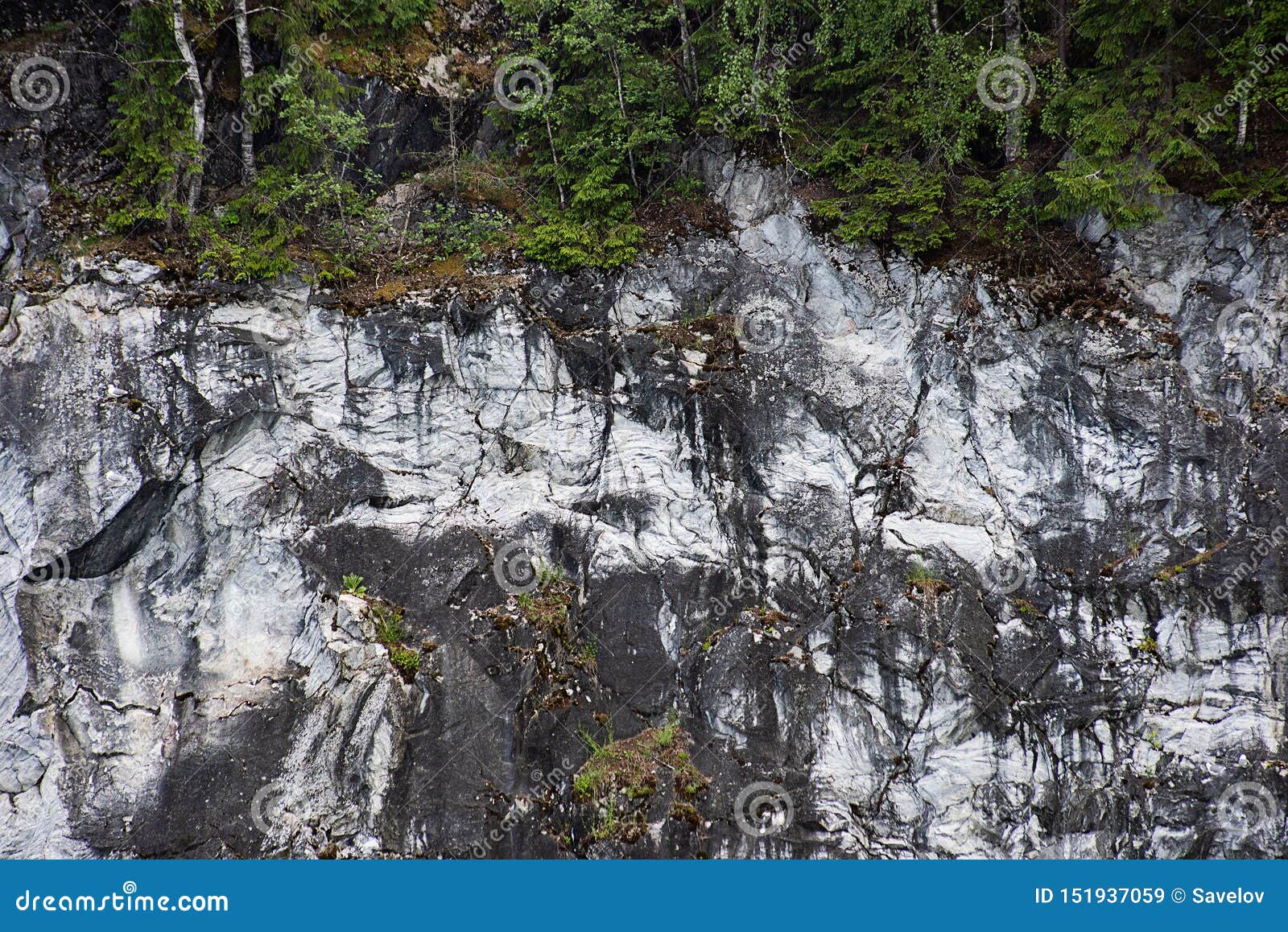 Steep Cliff Side with Trees Stock Image - Image of steep, view: 151937059